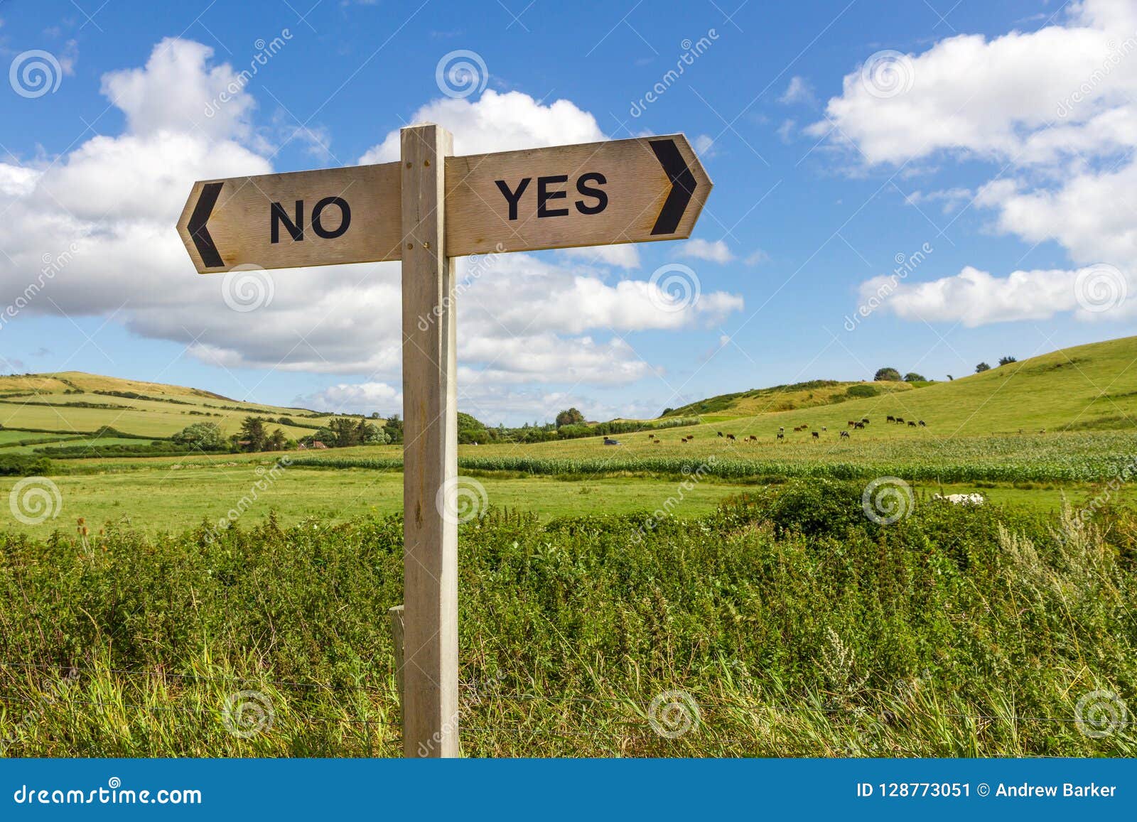 Yes or No Sign stock image. Image of directional, copy - 128773051