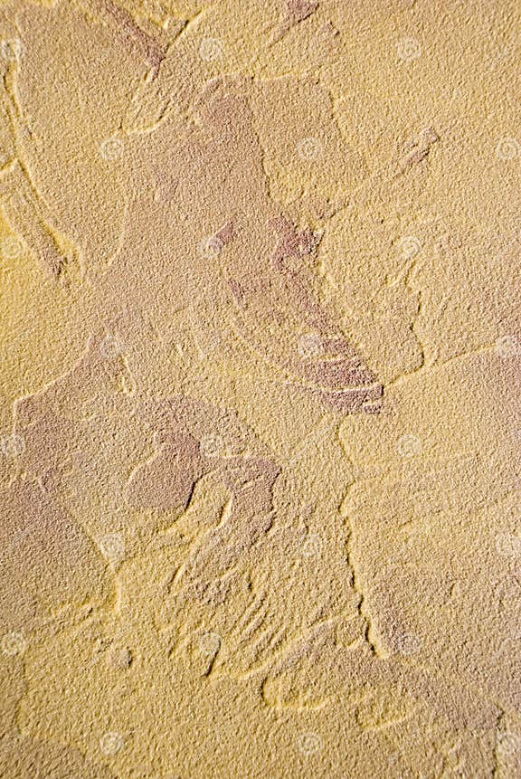 Yeso decorativo imagen de archivo. Imagen de yeso, gyps - 7934739