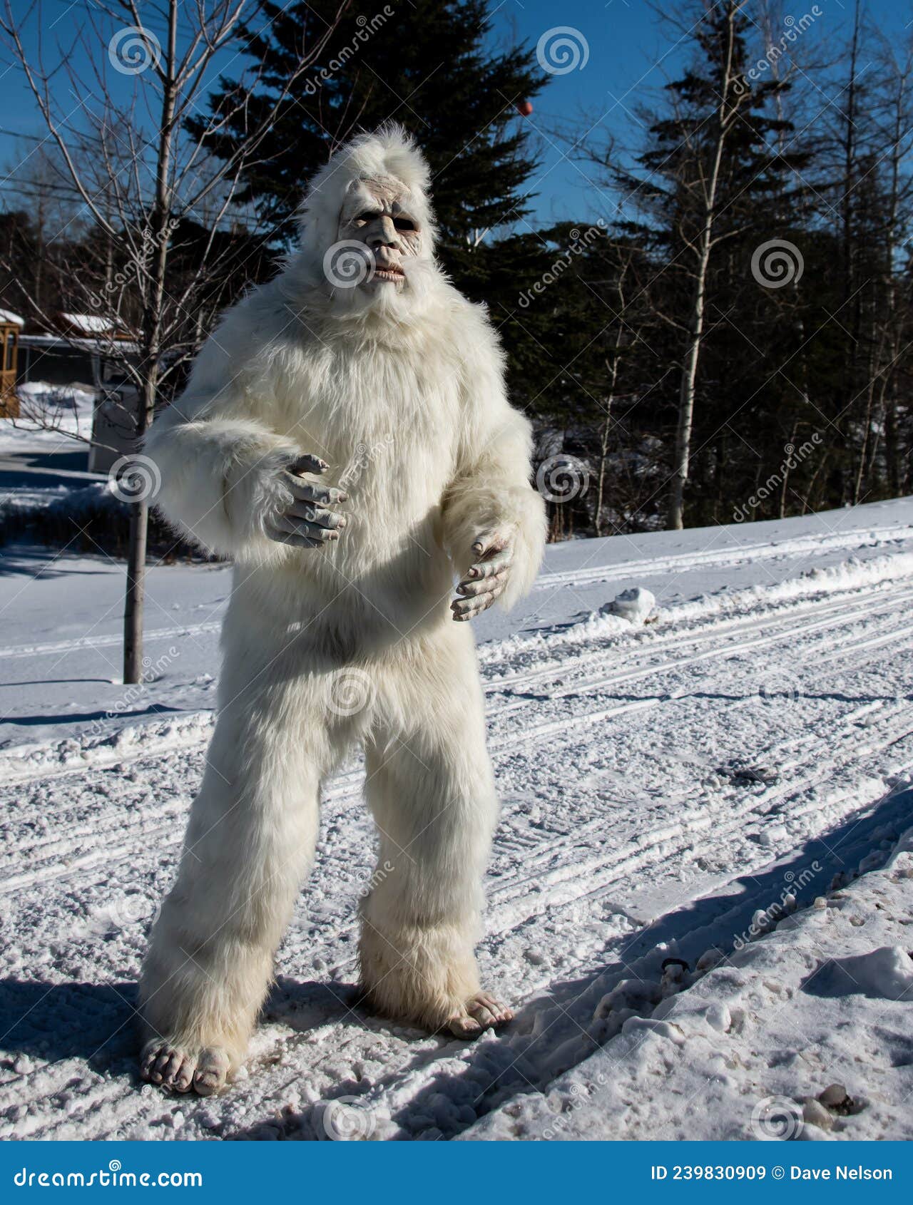 Yeti Standing on Snowmobile Trail Editorial Stock Image - Image of blue ... Yeti Standing on Snowmobile Trail Editorial Stock Image - Image of blue ...