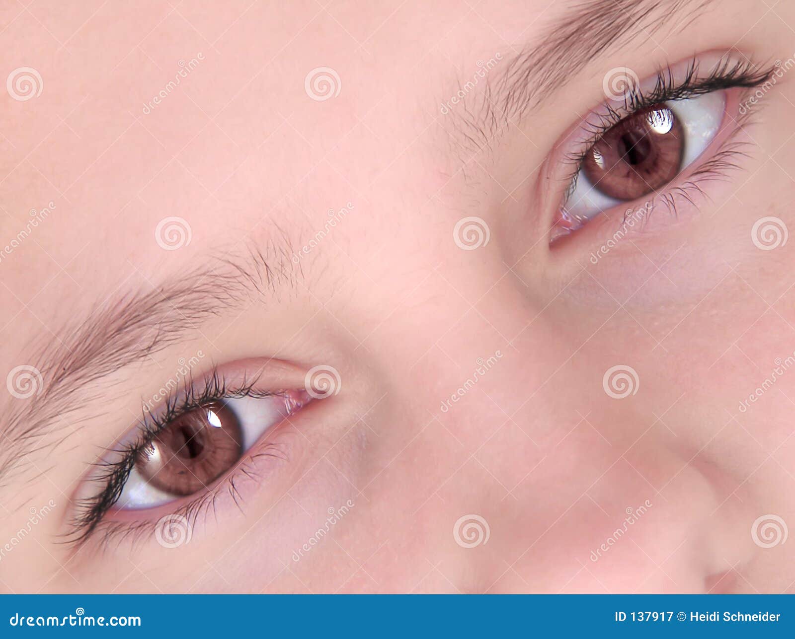 Yeux image stock. Image du enfant, optique, oeil, iris - 137917