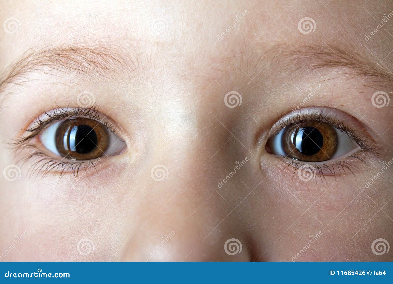 Yeux d'enfant photo stock. Image du beau, instruction - 11685426