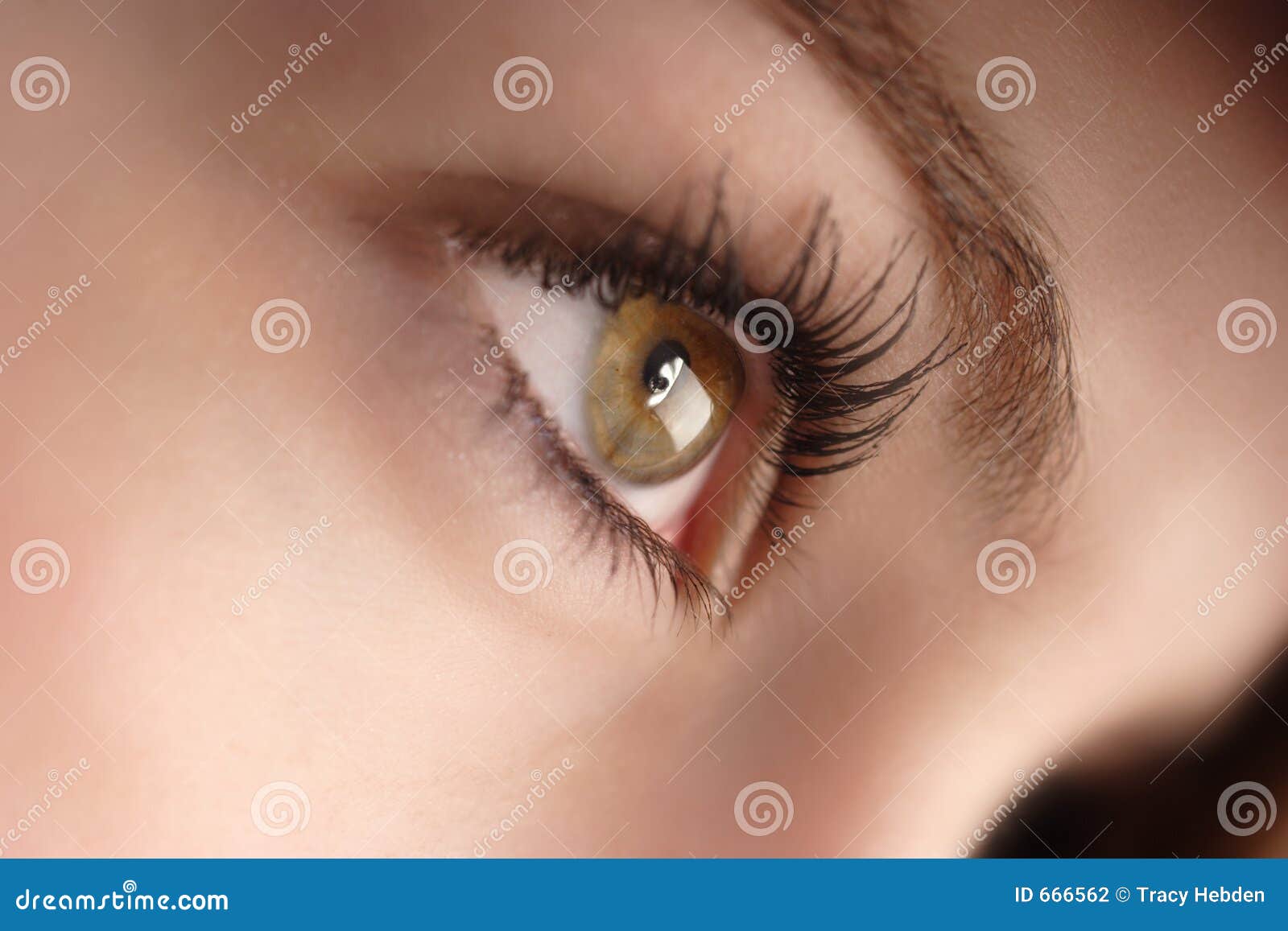 Yeux noisette photo stock. Image of inquiétude, hypnotisez - 666562