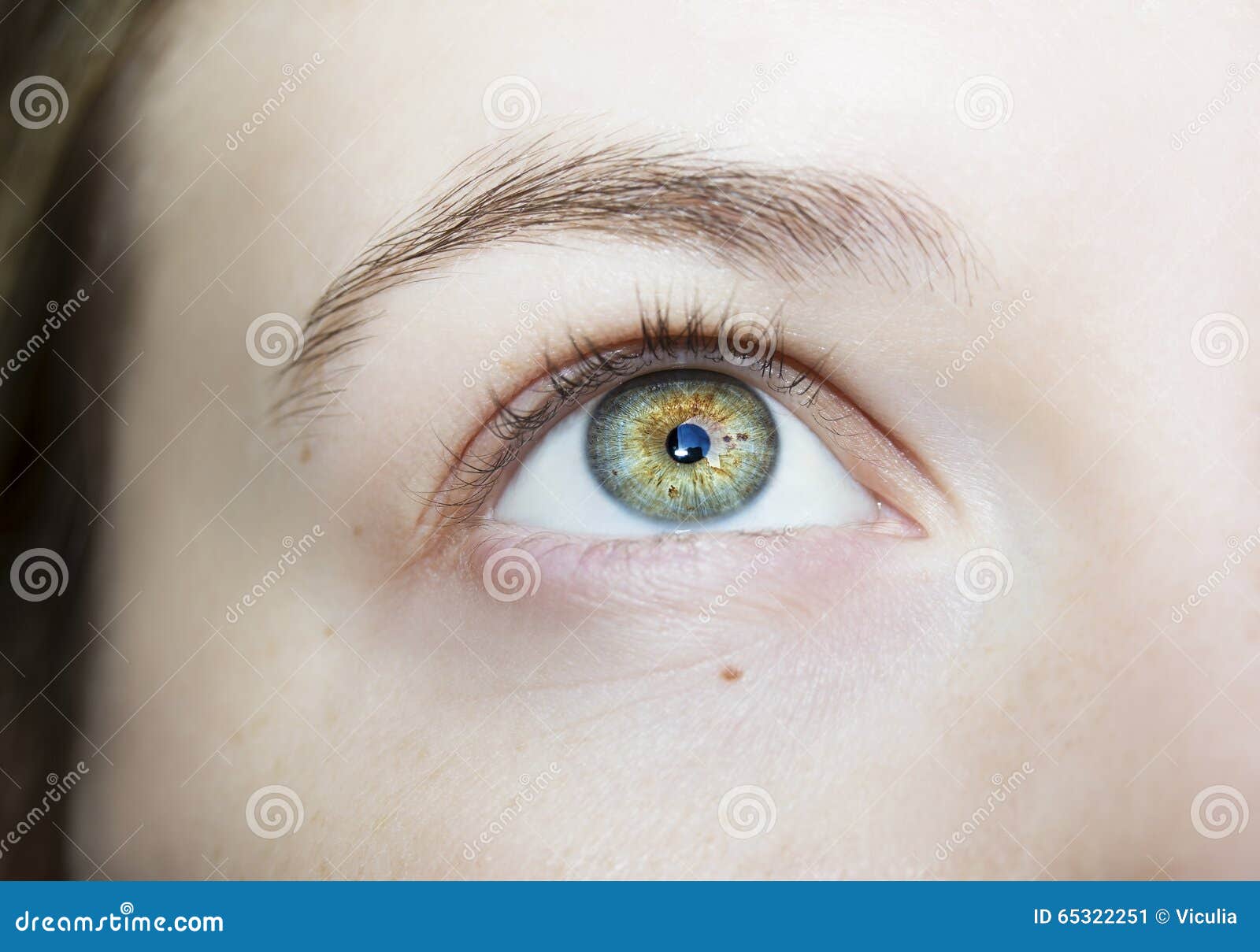 Yeux perspicaces de regard image stock. Image du fermer - 65322251