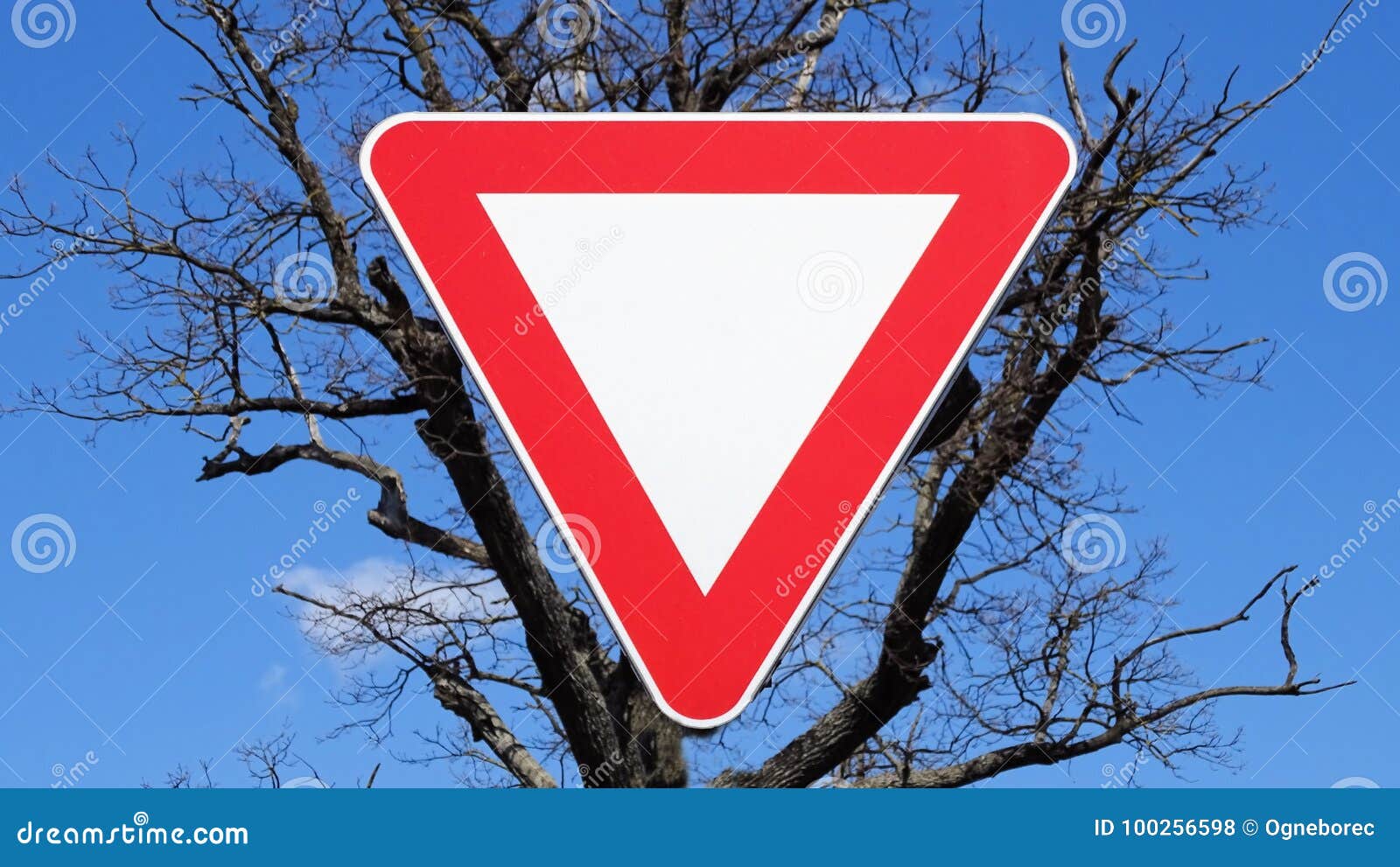 Yield Sign On A Background An Old Tree. Stock Photo | CartoonDealer.com ...
