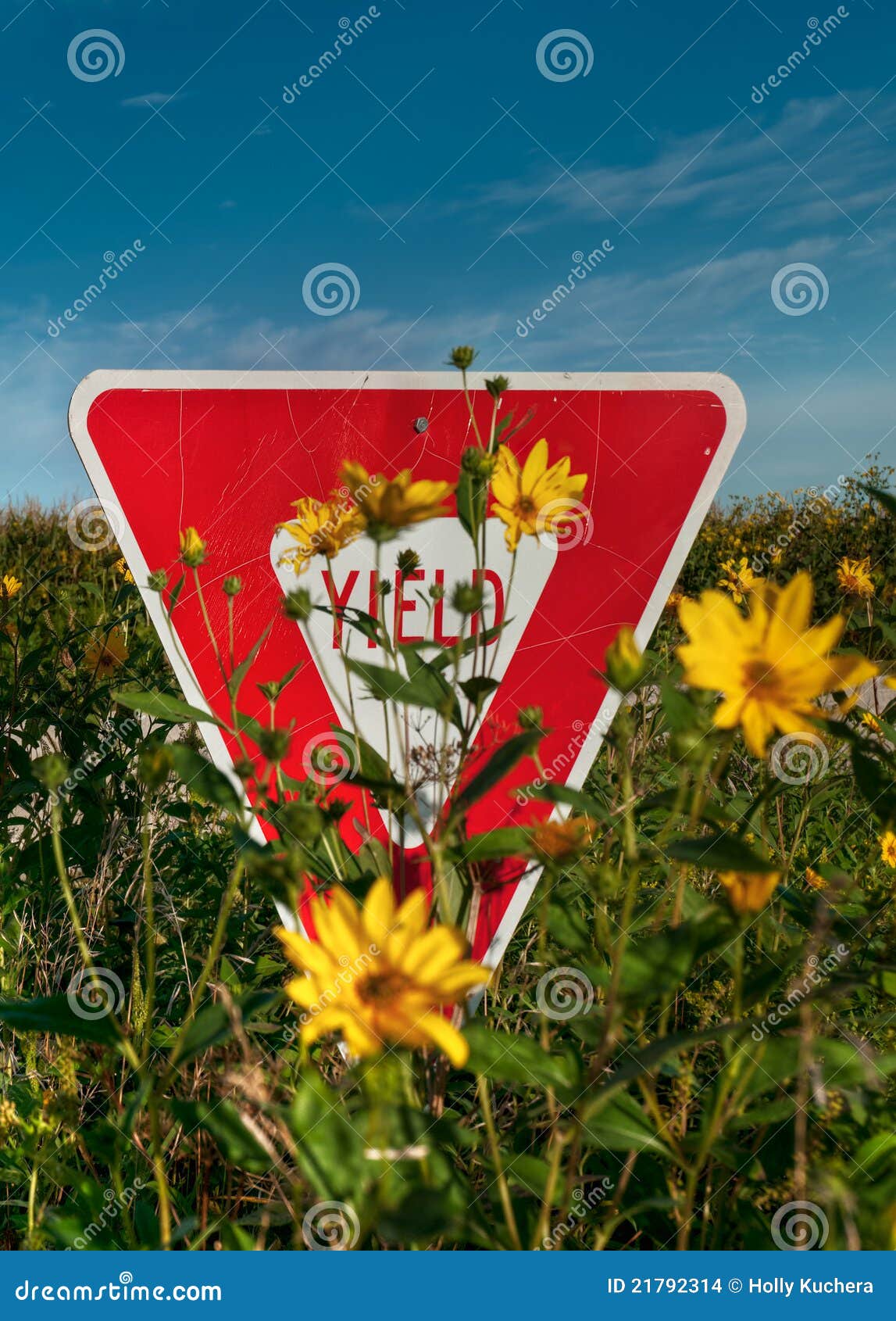 Yield Sign in Flowers stock photo. Image of vertical - 21792314