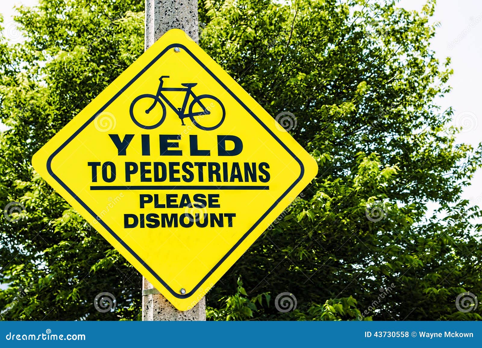 Yield to pedestrians stock photo. Image of alertness - 43730558