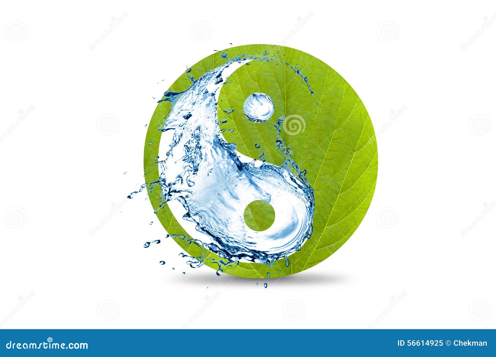 Yin and Yang Symbol Green with Water Stock Illustration - Illustration of leaf, protect: 56614925