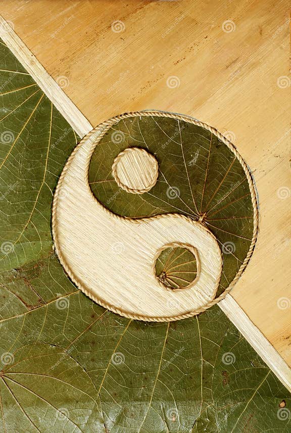 Ying-Yang stock photo. Image of asia, leaves, yang, pairs - 1337546