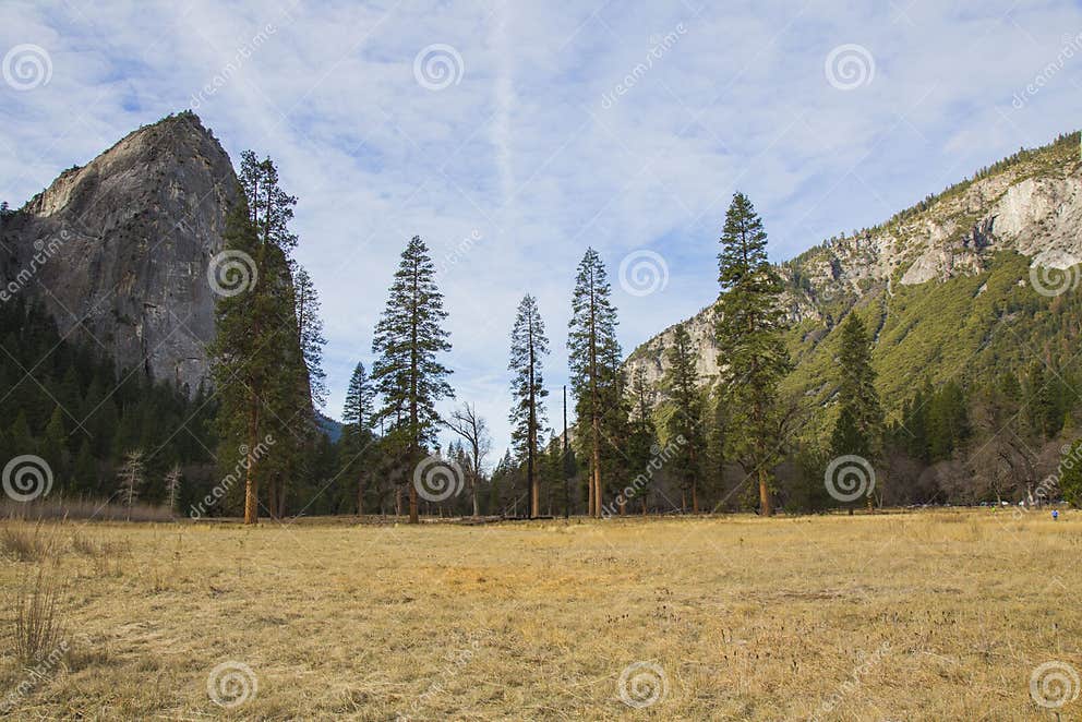 Yo Open Weide stock foto. Image of lijn, motor, nave - 50634634