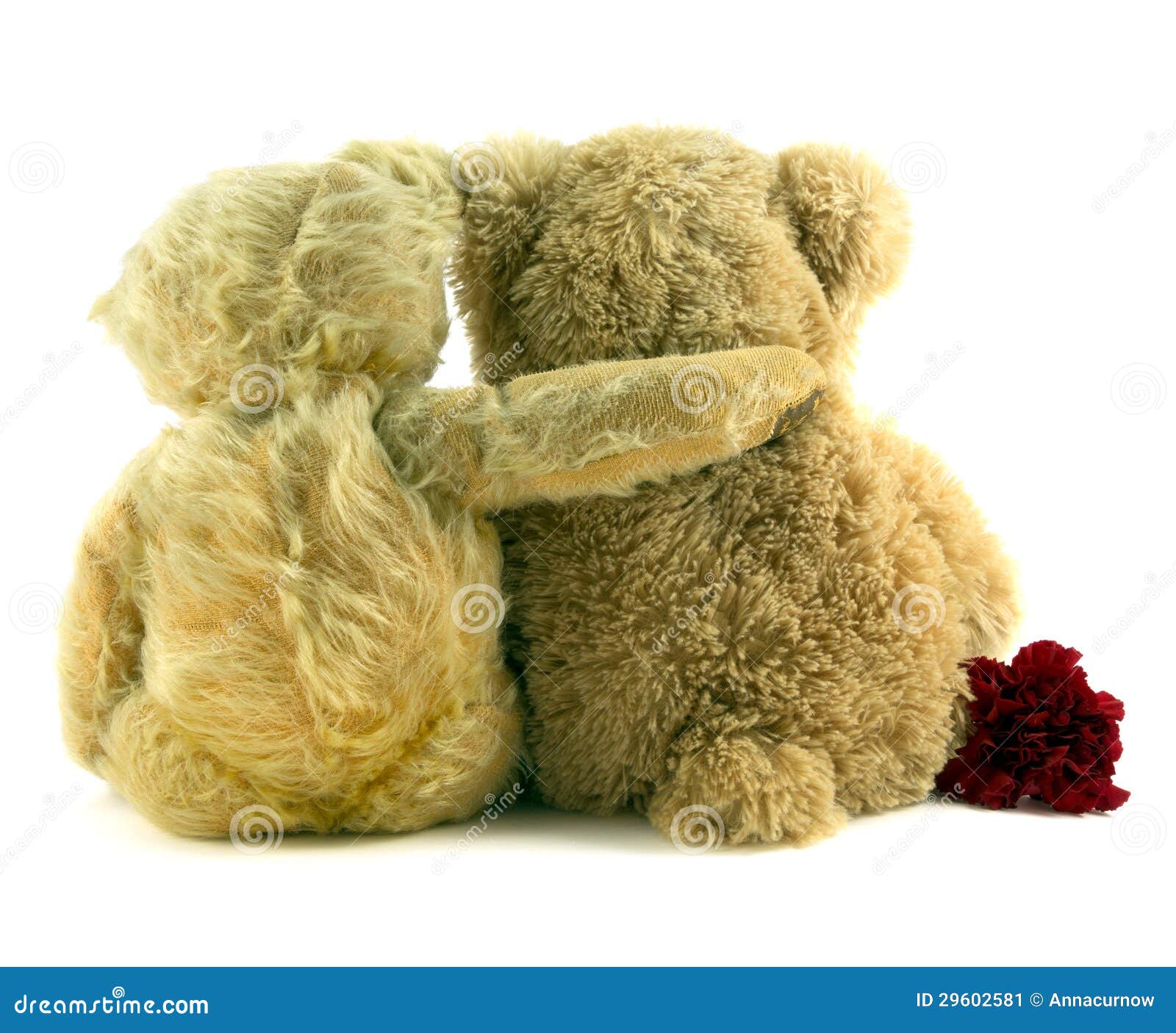 Yo y usted ...... imagen de archivo. Imagen de amor, clavel - 29602581