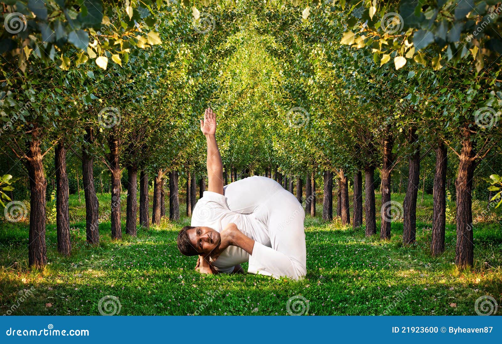 Yoga Advance Pose in Forest Stock Photo - Image of instructor, alley ...