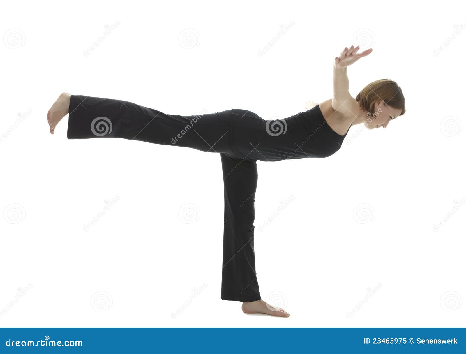 Yoga Asana stock image. Image of health, healthy, female - 23463975
