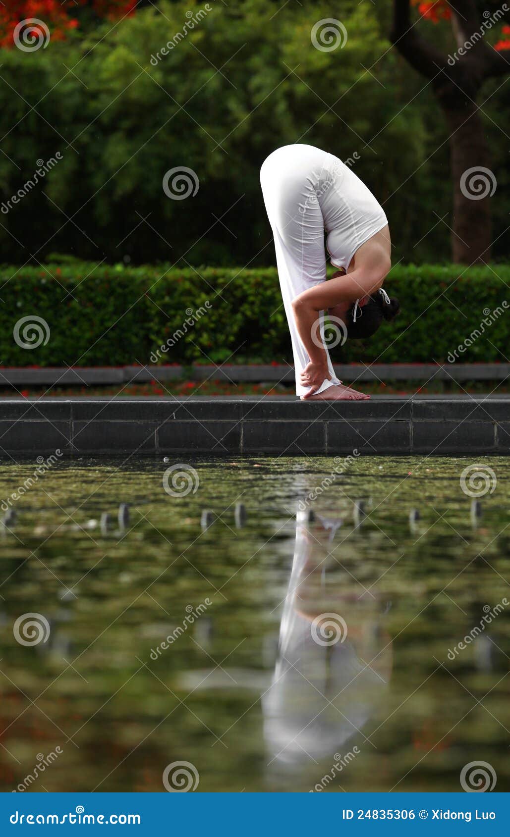 Yoga Bending stock photo. Image of morning, lifestyle - 24835306