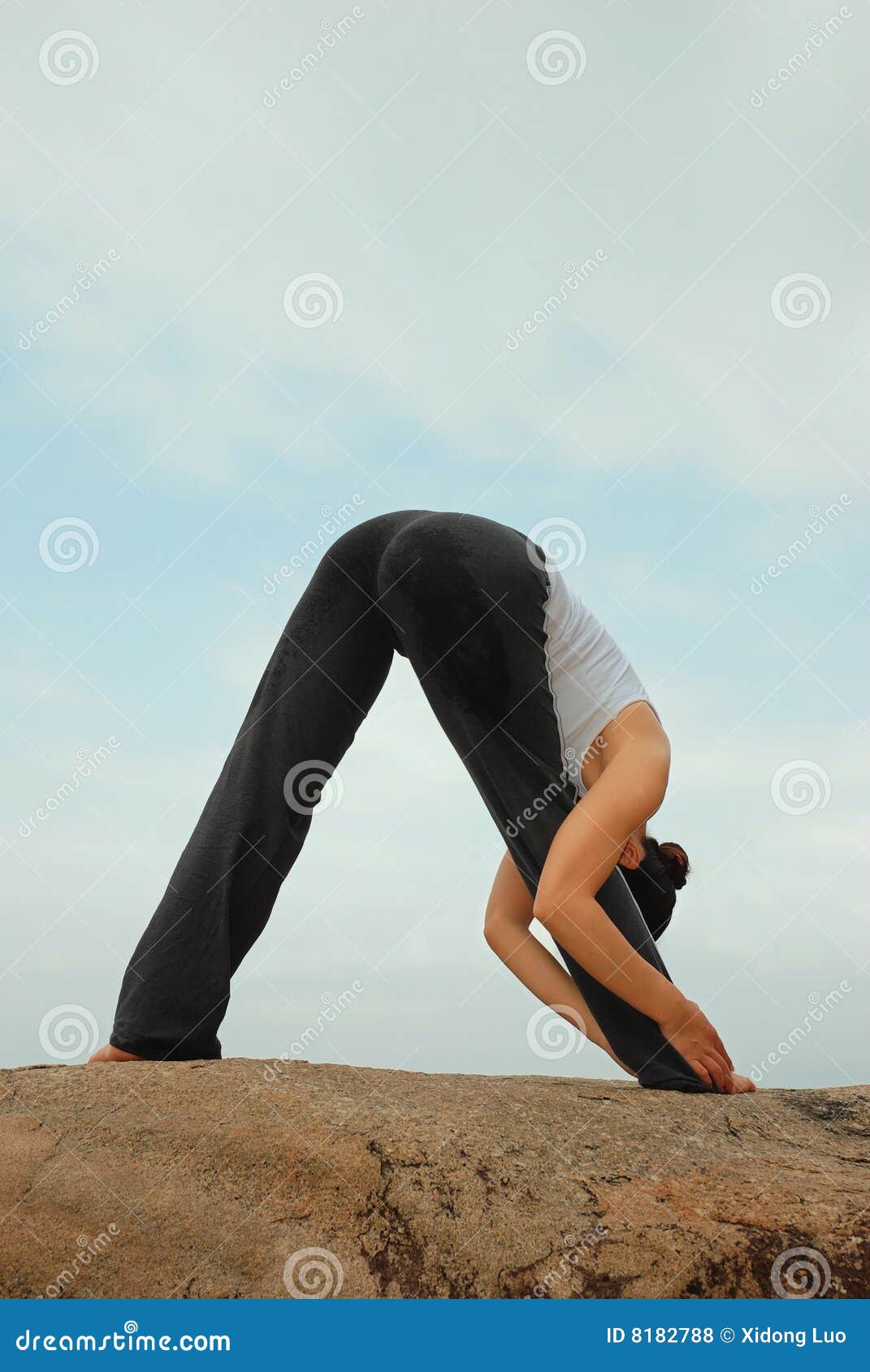 Yoga Exerciser stock photo. Image of fresh, lifestyle - 8182788