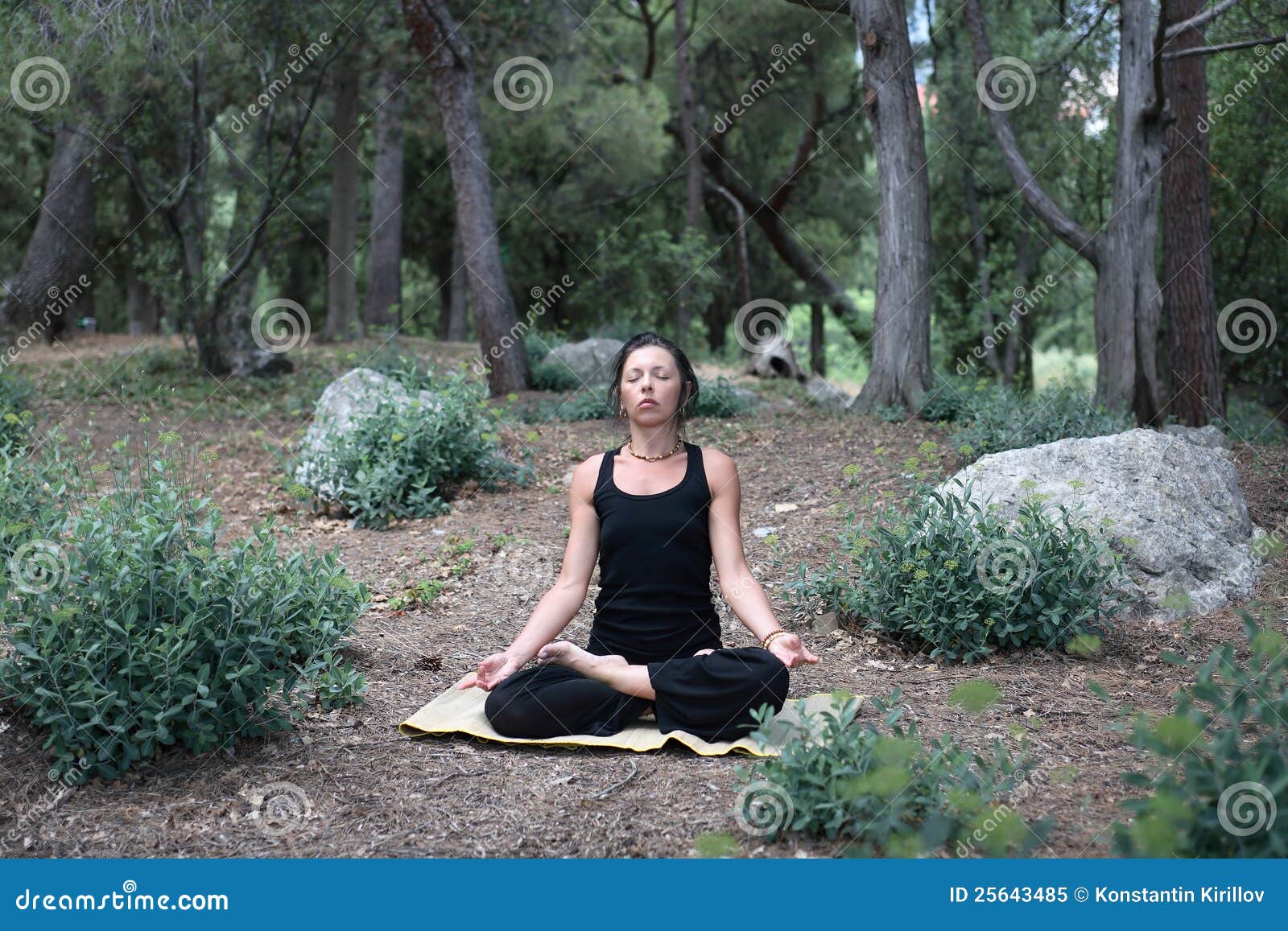 Yoga In Forest Picture. Image: 25643485