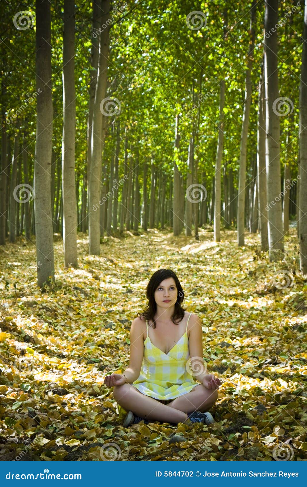 Yoga in forest stock photo. Image of meditating, life - 5844702