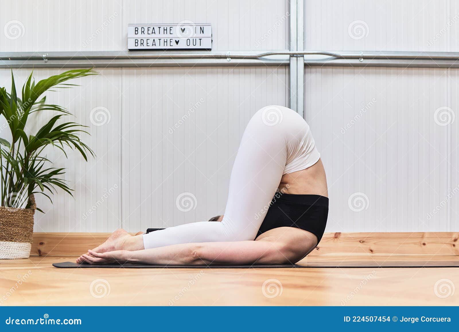 Yoga-kvinnlig Ung Som Pockar I Studion Arkivfoto - Bild av kropp ...