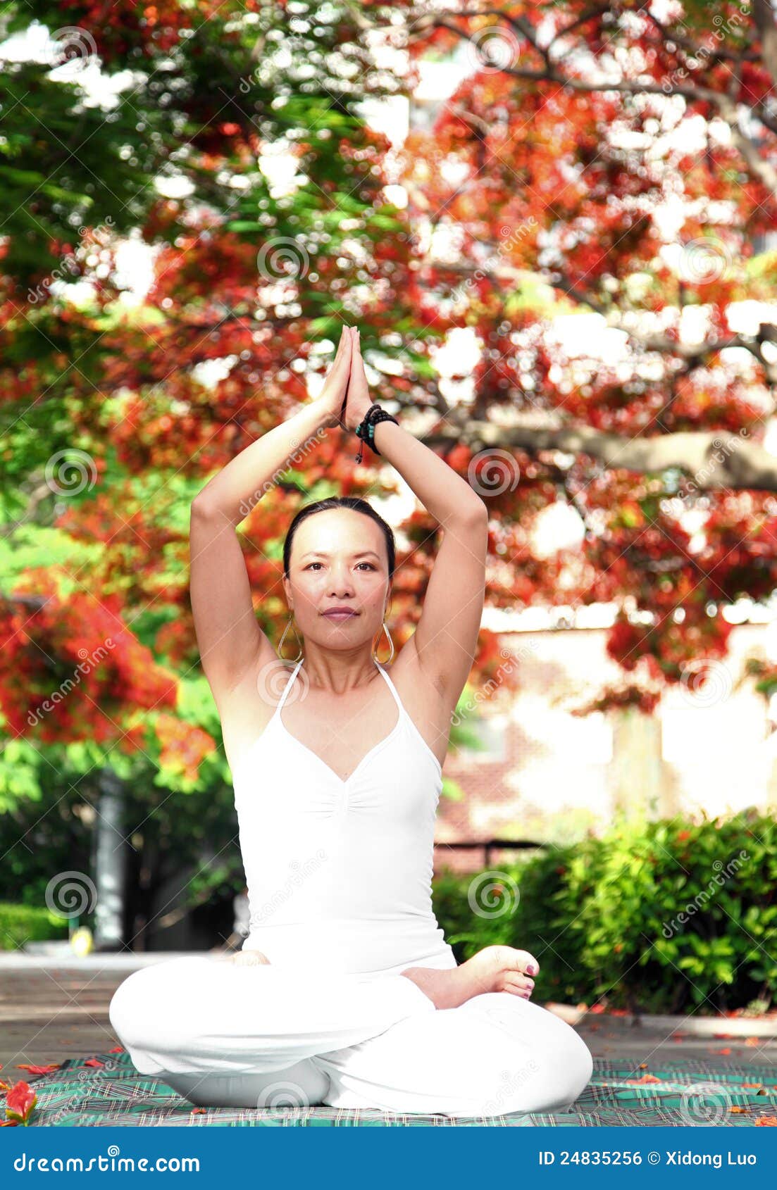 Yoga Lotus Position stock photo. Image of plant, healthy - 24835256