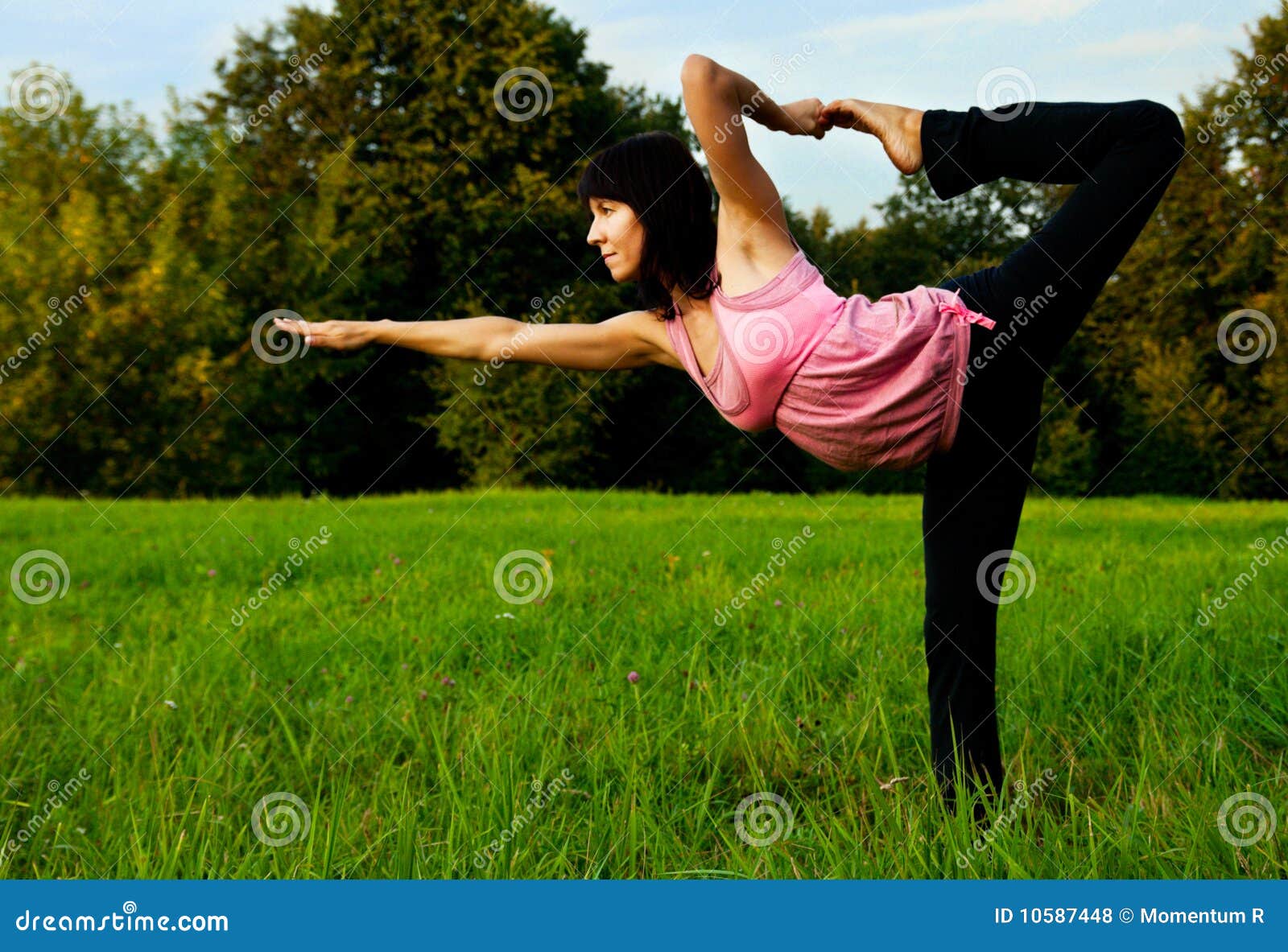 Yoga in nature stock photo. Image of outside, lifestyle - 10587448
