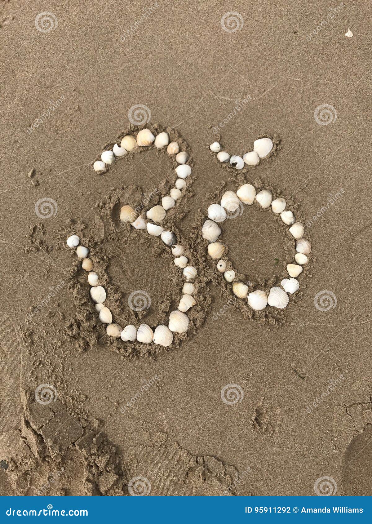 Yoga om in shells stock photo. Image of beach, yoga, shell - 95911292