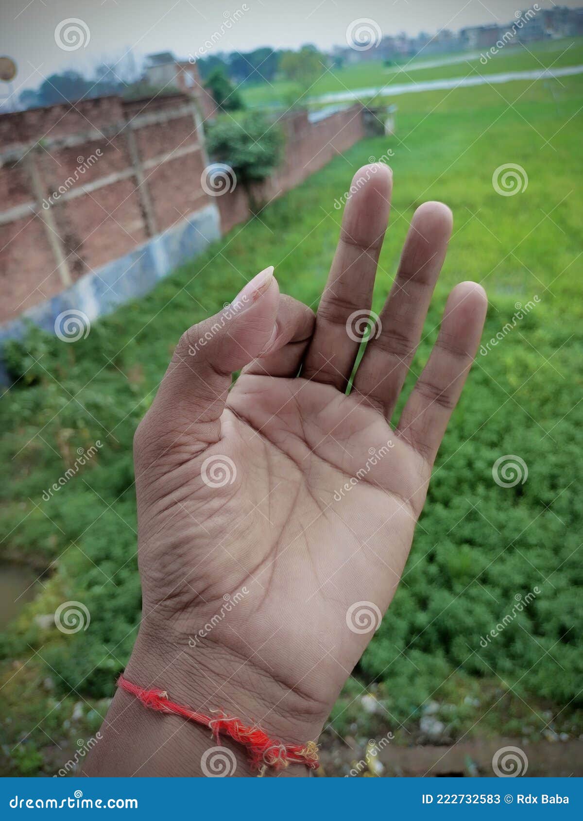 Yoga pose of palm stock image. Image of yoga, flower - 222732583