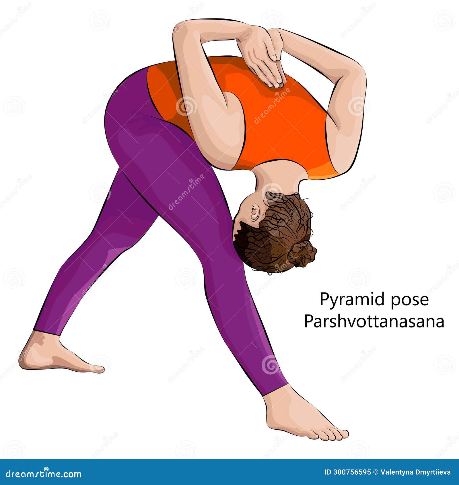 Yoga Pose. Parshvottanasana. Stock Illustration - Illustration of ...