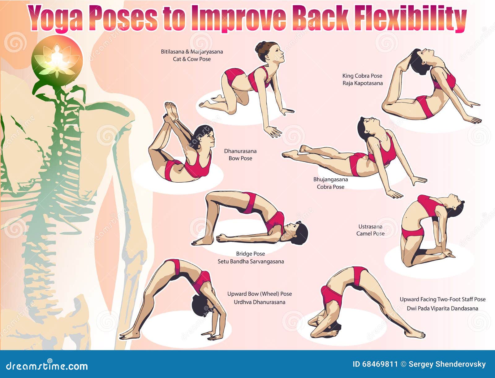 Yoga Poses To Improve Back Flexibility Stock Vector - Illustration of ... Yoga Poses To Improve Back Flexibility Stock Vector - Illustration of ...
