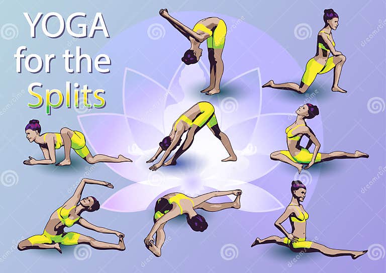 Yoga for the Splits stock vector. Illustration of circulation - 70901367