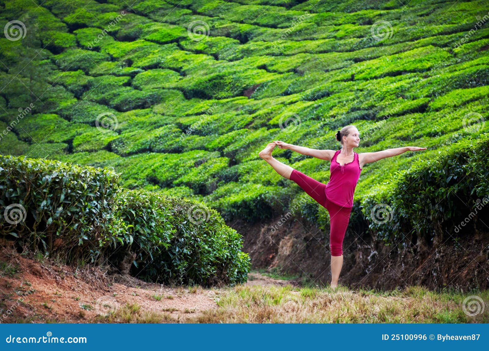 Yoga in tea plantations stock photo. Image of bush, grass - 25100996