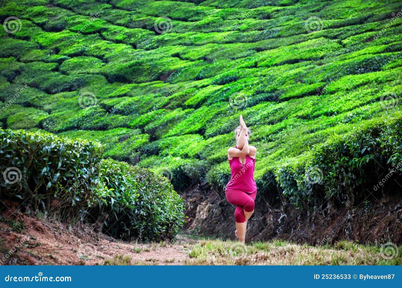 Yoga in tea plantations stock image. Image of balance - 25236533