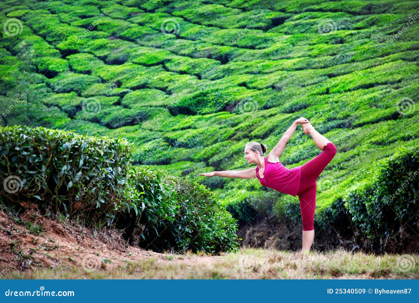 Yoga in tea plantations stock image. Image of beautiful - 25340509
