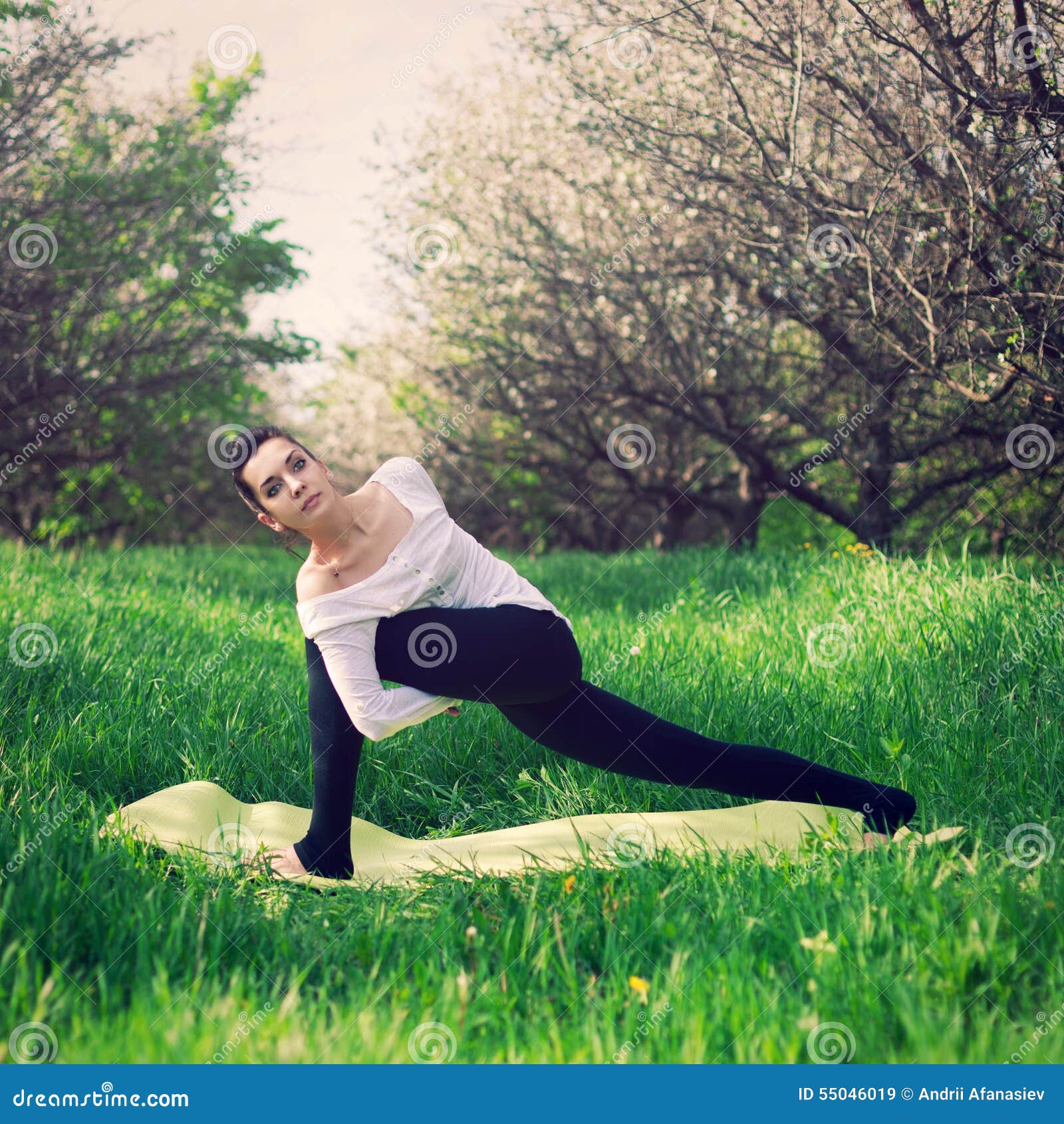Yoga Training in the Forest Stock Image - Image of green, healthy: 55046019