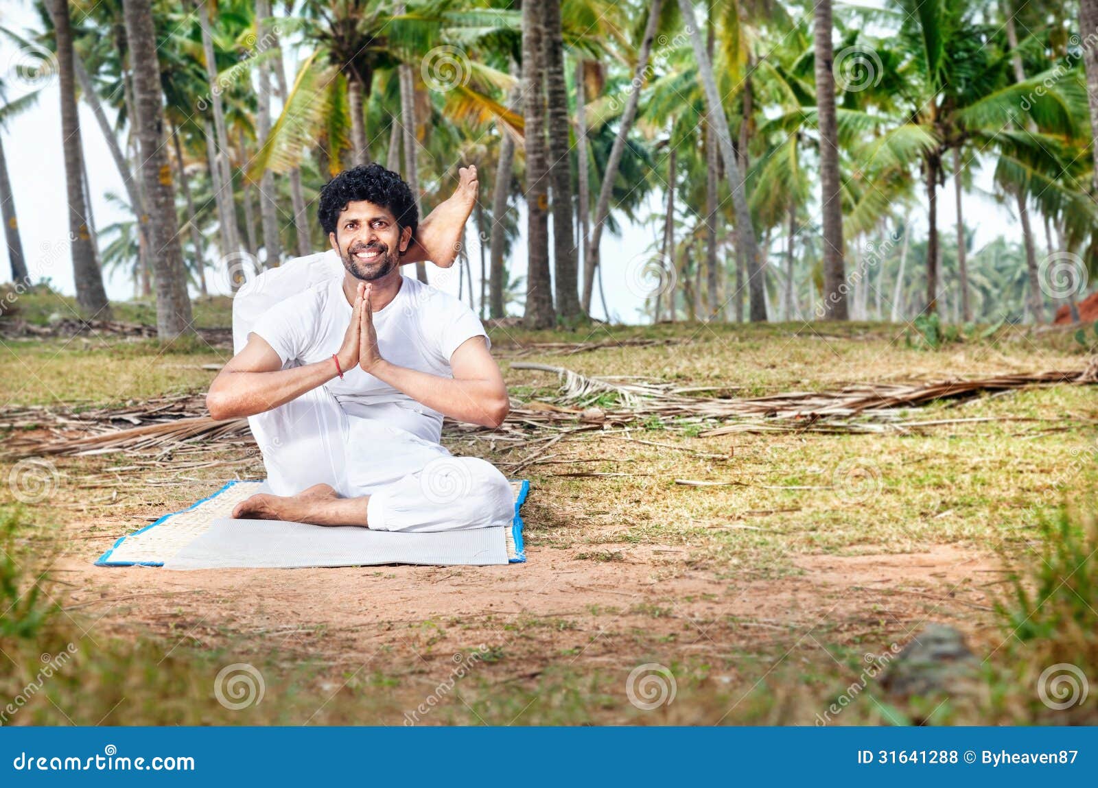 Flexible Palm Trees Stock Photos - Free & Royalty-Free Stock Photos ...