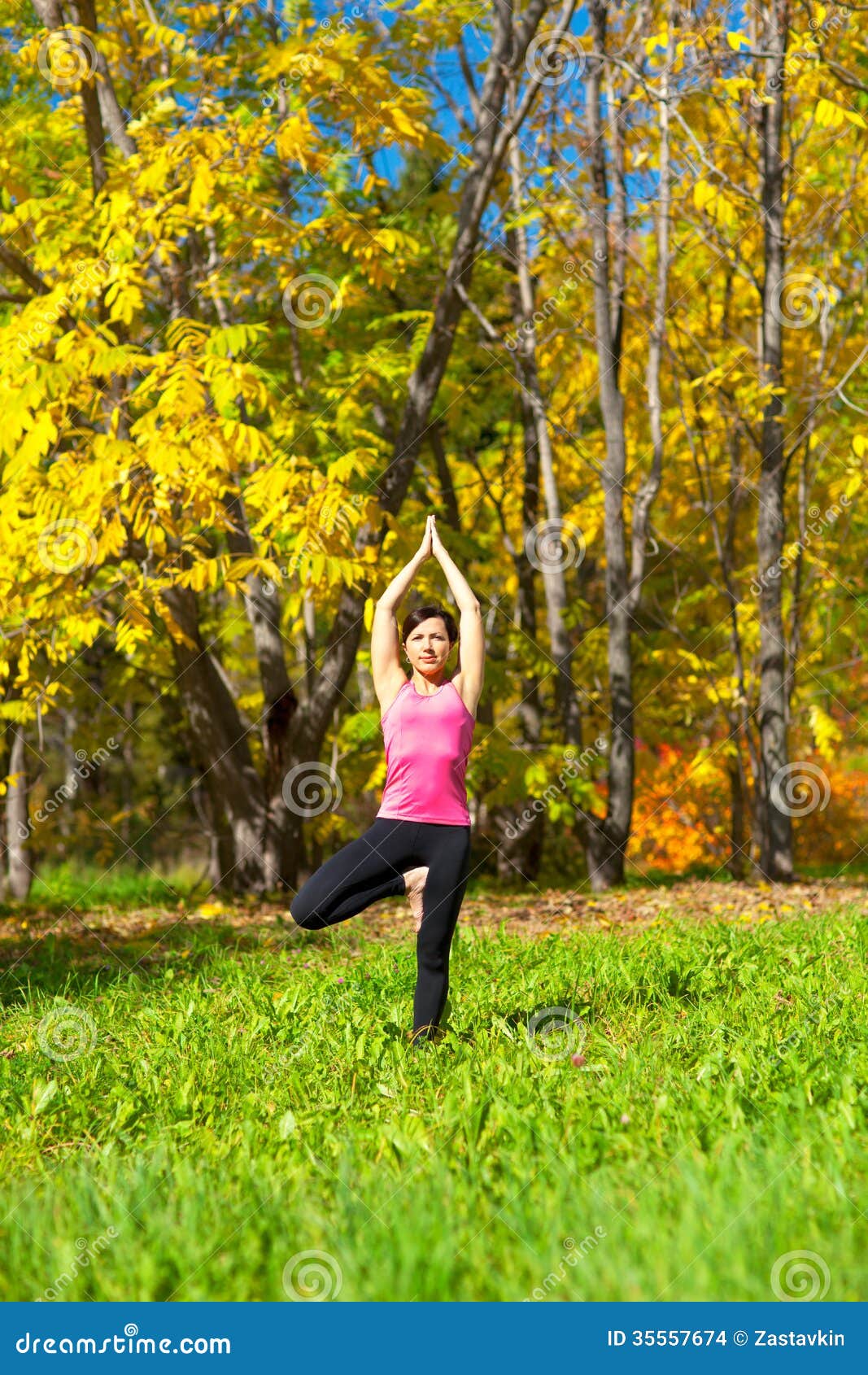 Yoga Vrikshasana-Baum-Haltung Stockfoto - Bild von mädchen, flexibel ...