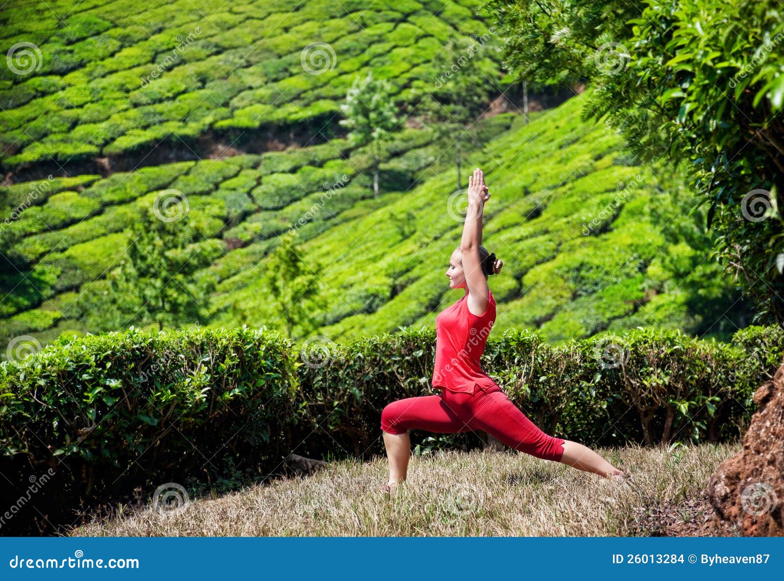 Yoga Warrior Pose in Tea Plantations Stock Photo - Image of girl, peace ...