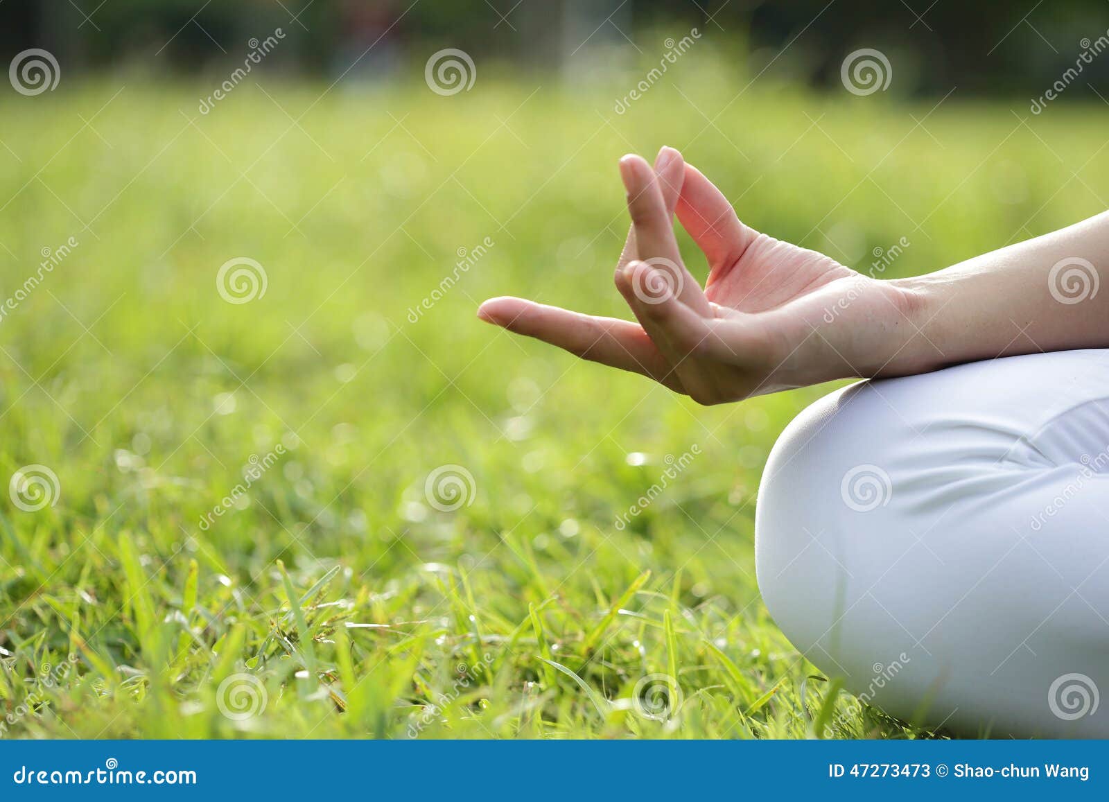 Yoga woman hand stock image. Image of outdoor, lifestyle - 47273473