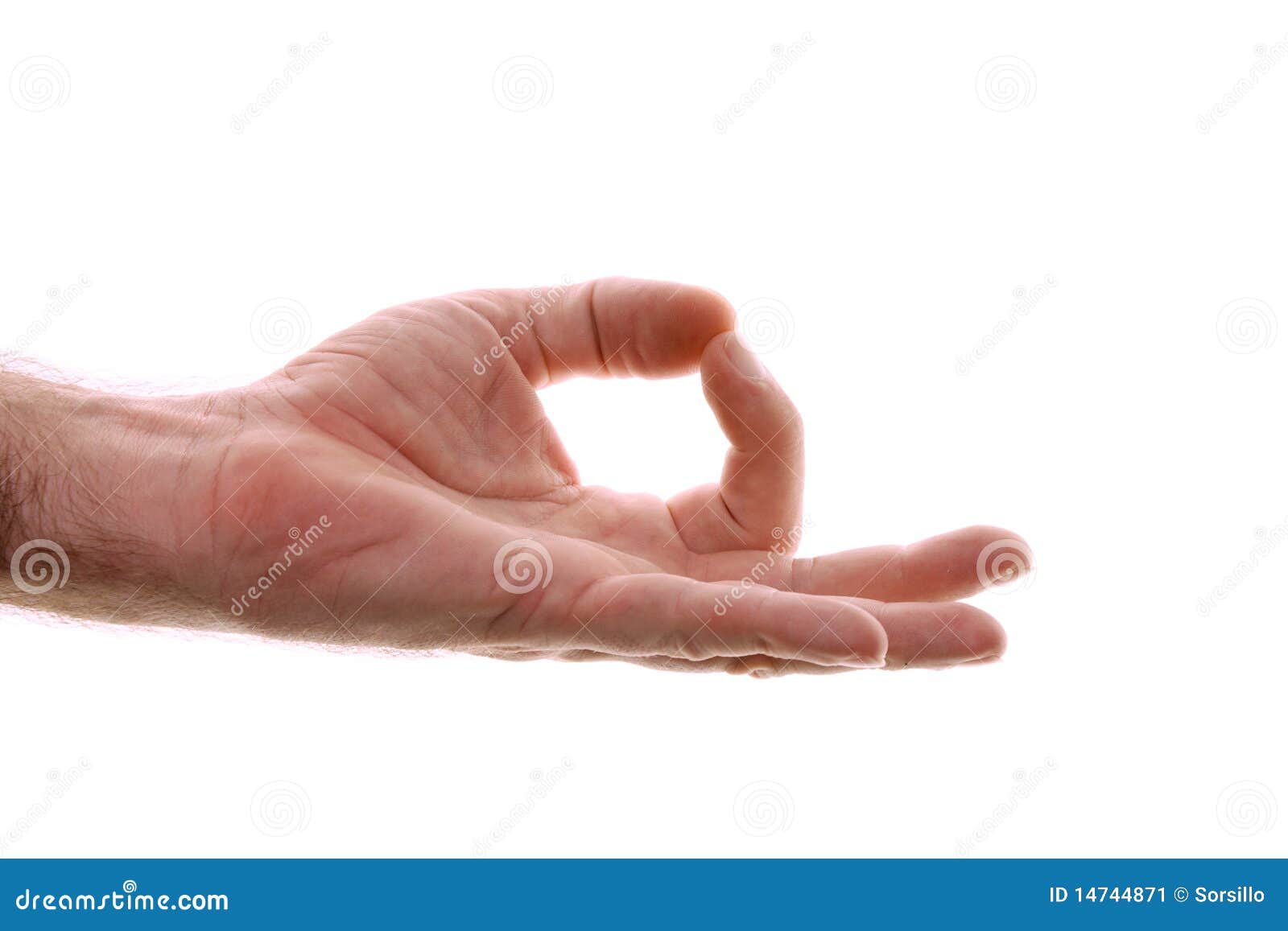 Yogic Gyan Hand Position Isolated on White Stock Image - Image of ...