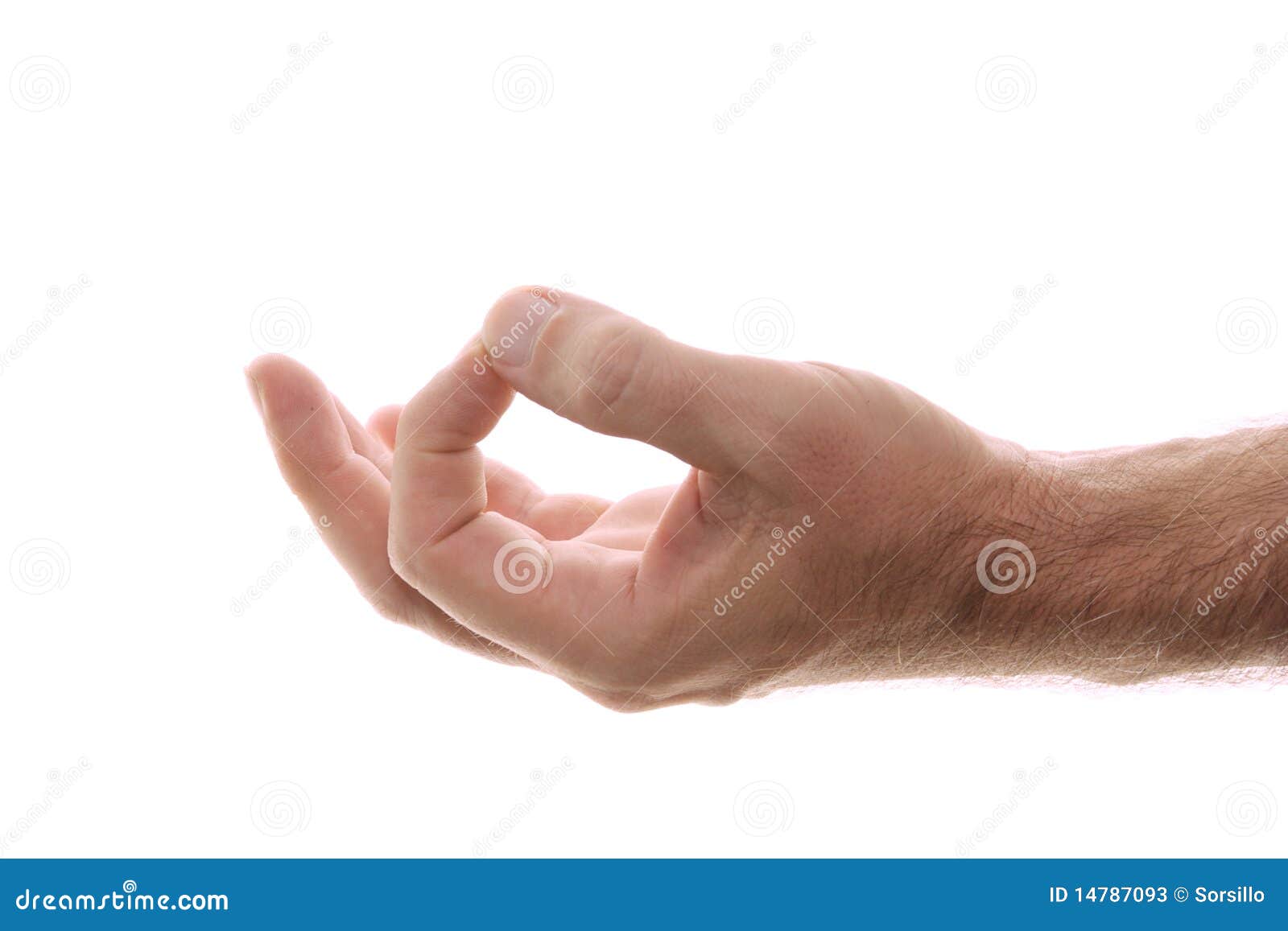 Yogic Hand Position Gyan Isolated on White Stock Image - Image of wrist ...