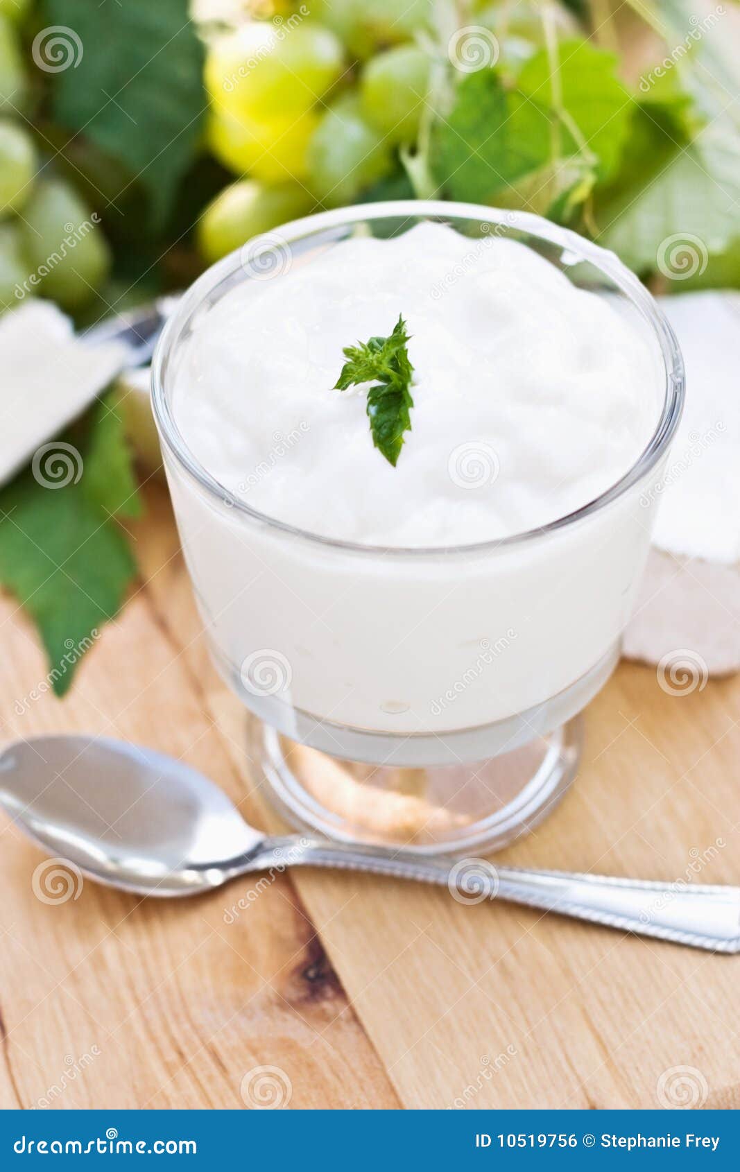 Yogurt stock photo. Image of clotted, milk, nutrition - 10519756