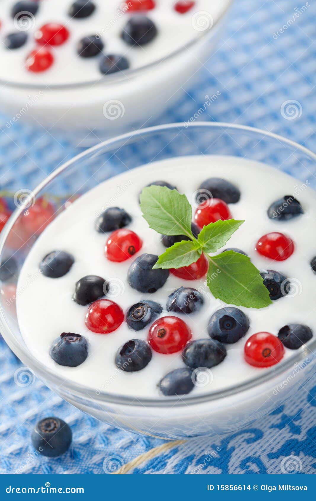 Yogurt with berries stock photo. Image of health, healthy - 15856614
