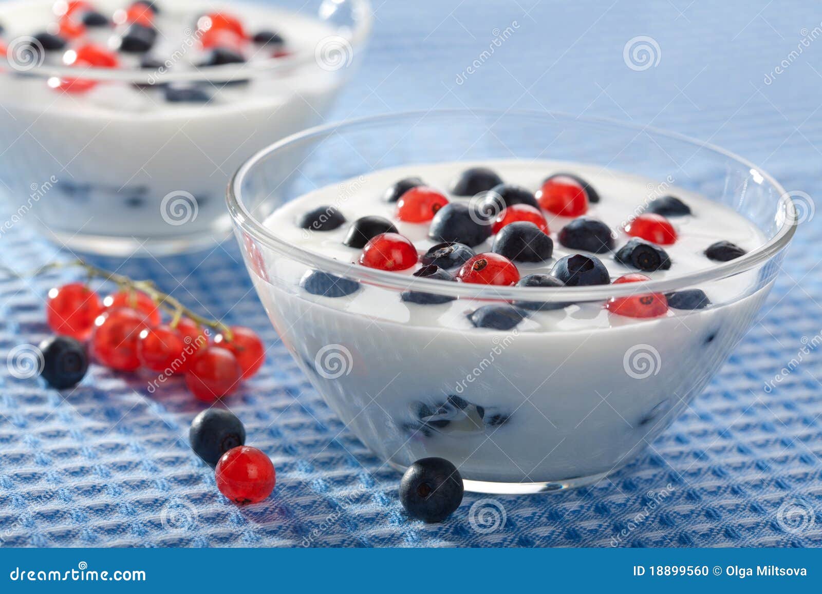 Yogurt with berries stock photo. Image of meal, calcium - 18899560