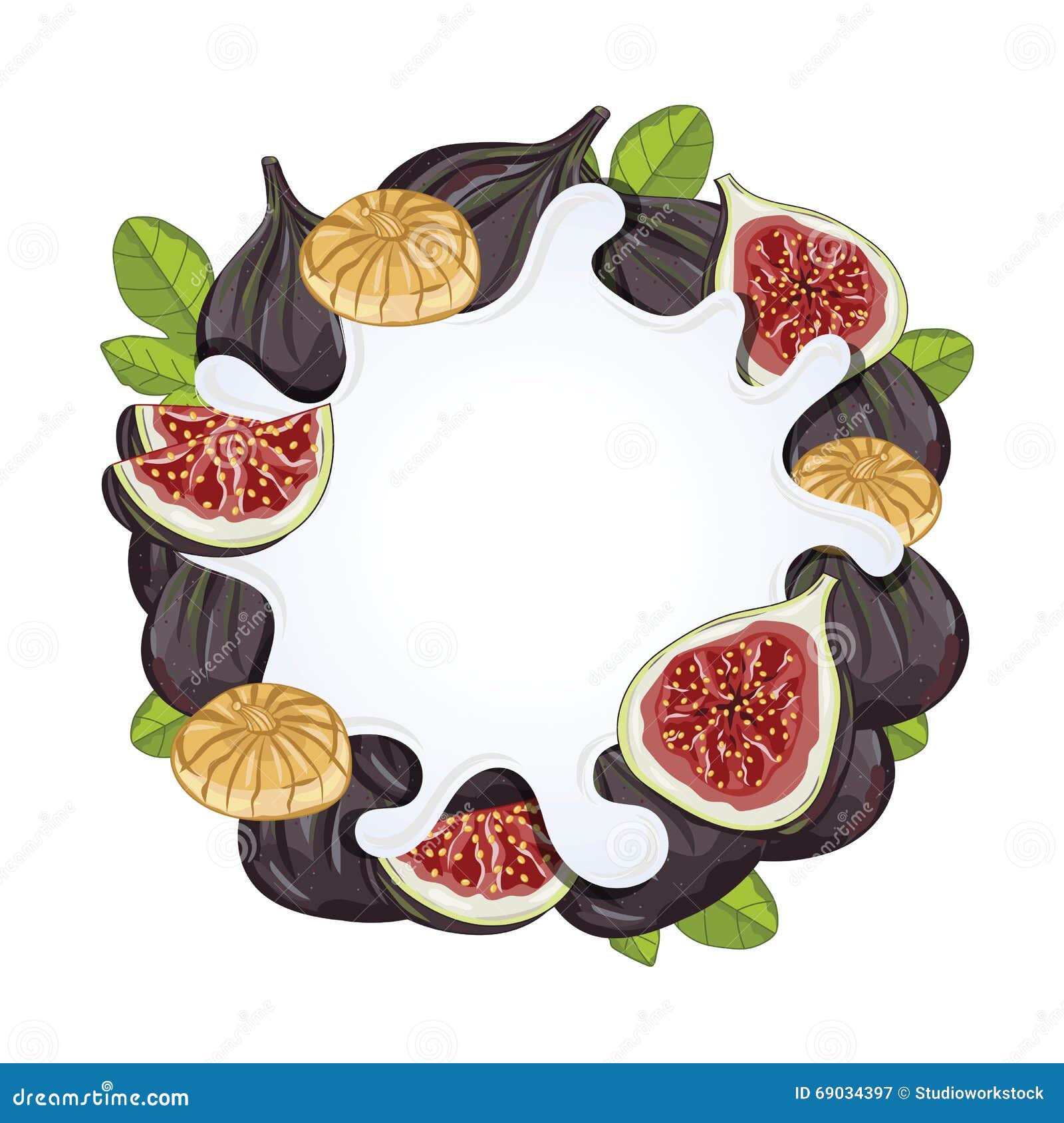 Two Isolated Figs Outline Design Vector Illustration Sketch One Whole ...