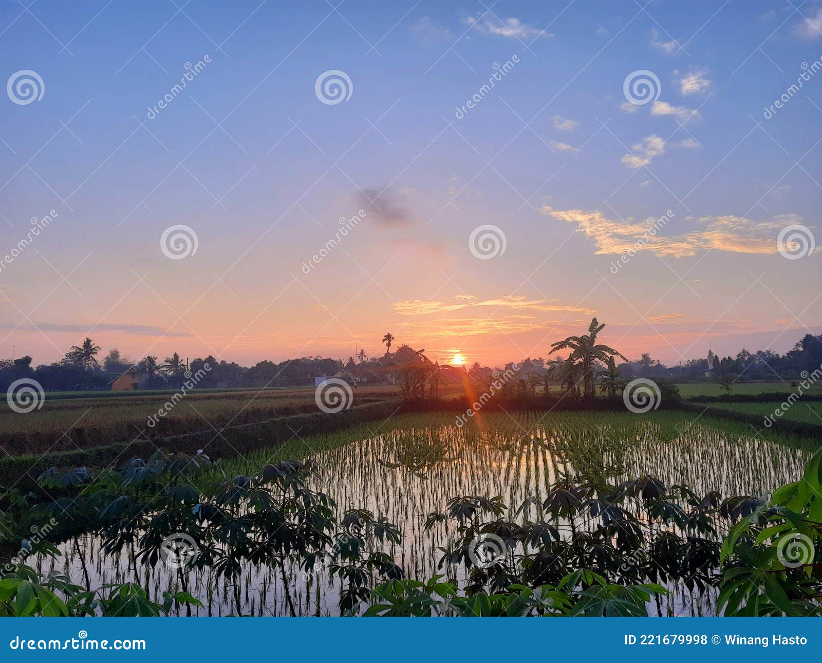 Godean Yogyakarta Stock Photos - Free & Royalty-Free Stock Photos from ...