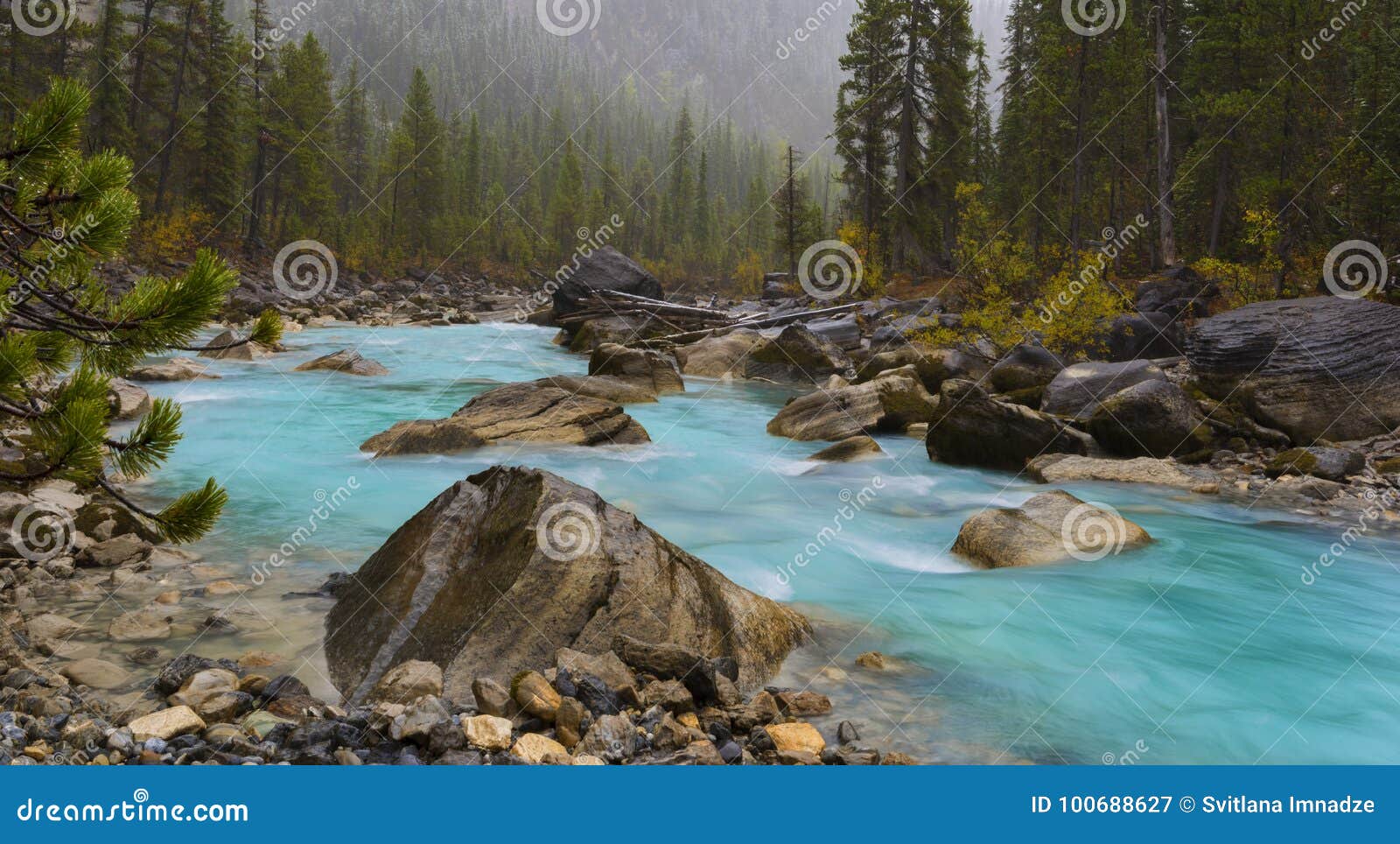 Yoho River in the Fall stock image. Image of fall, alberta - 100688627