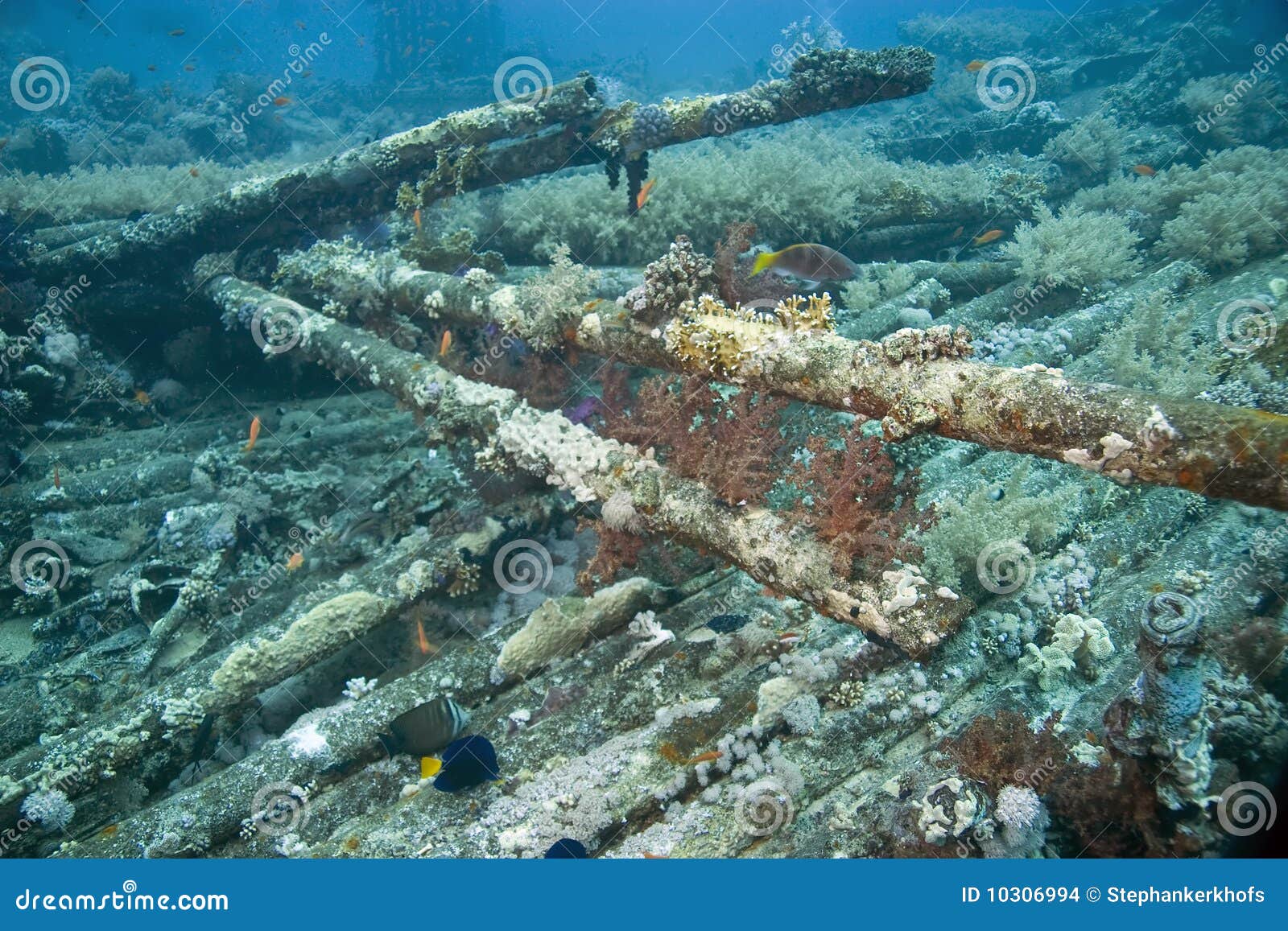 Yolanda wreckage stock photo. Image of marine, white - 10306994