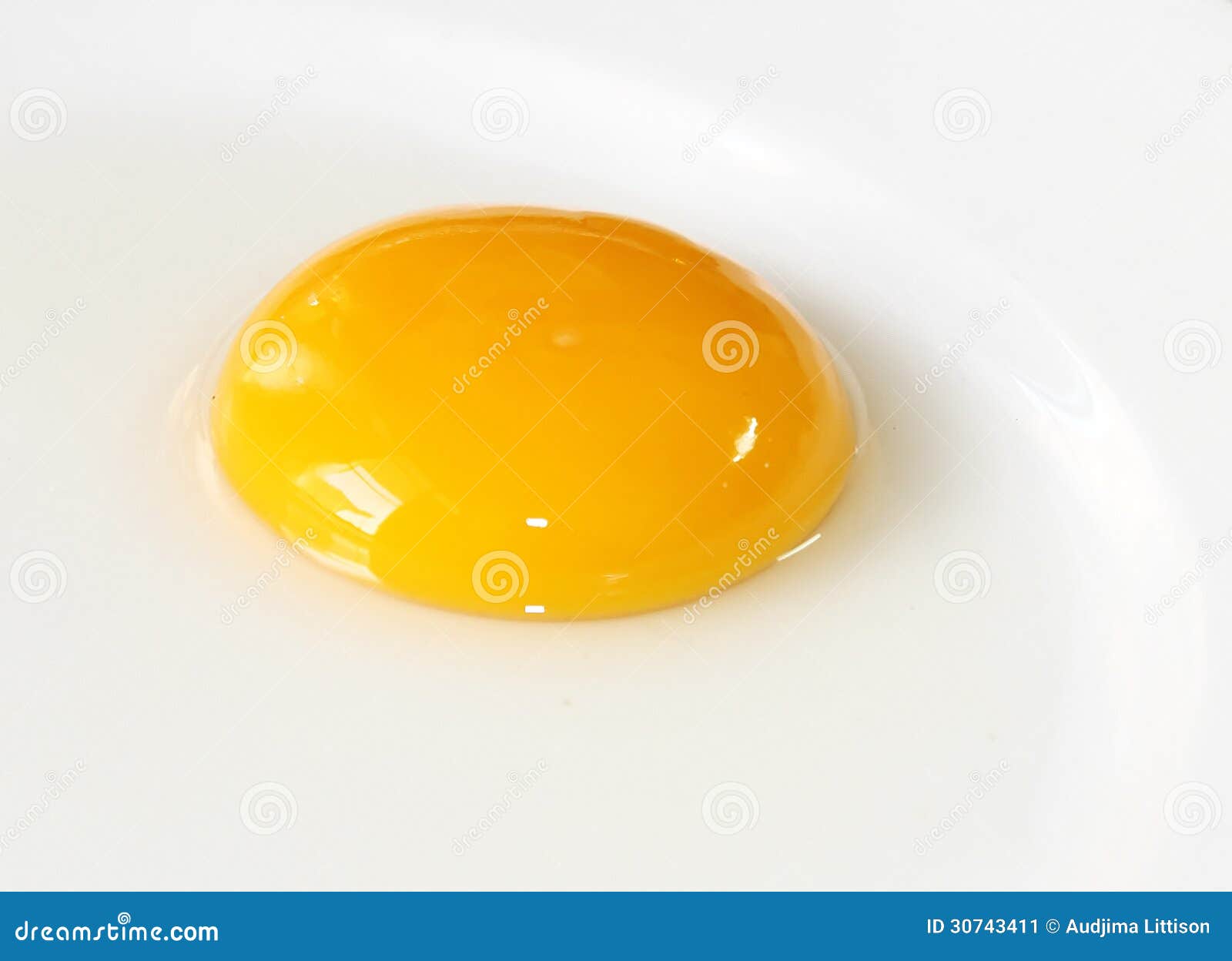 Yolk stock image. Image of protein, food, organic, macro - 30743411