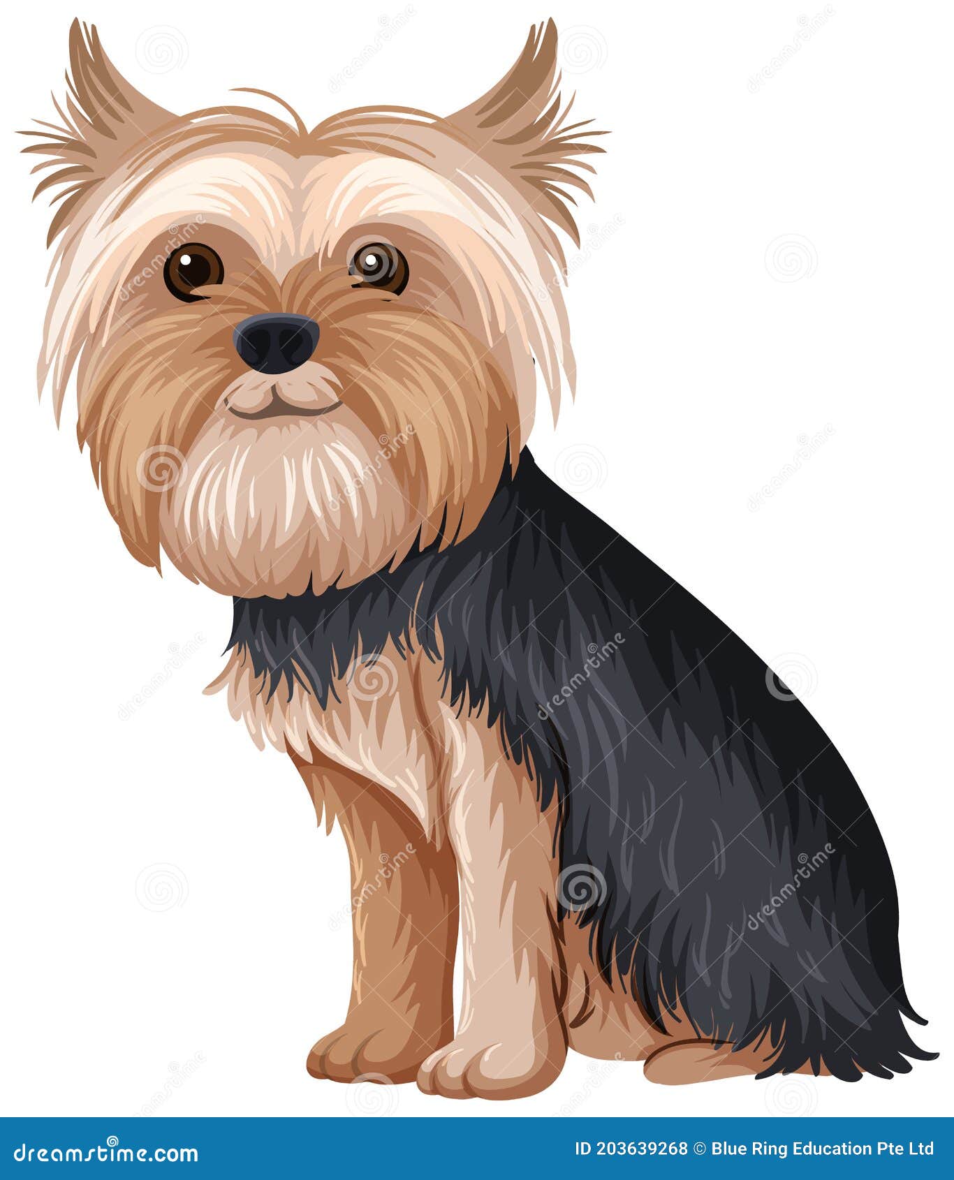 Yorkshire Cartoon Style on White Background Stock Vector - Illustration ...