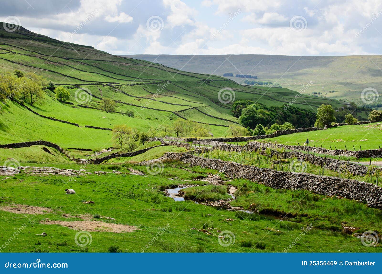 The Yorkshire Dales Landscape Stock Image - Image of outdoor, landmark ...