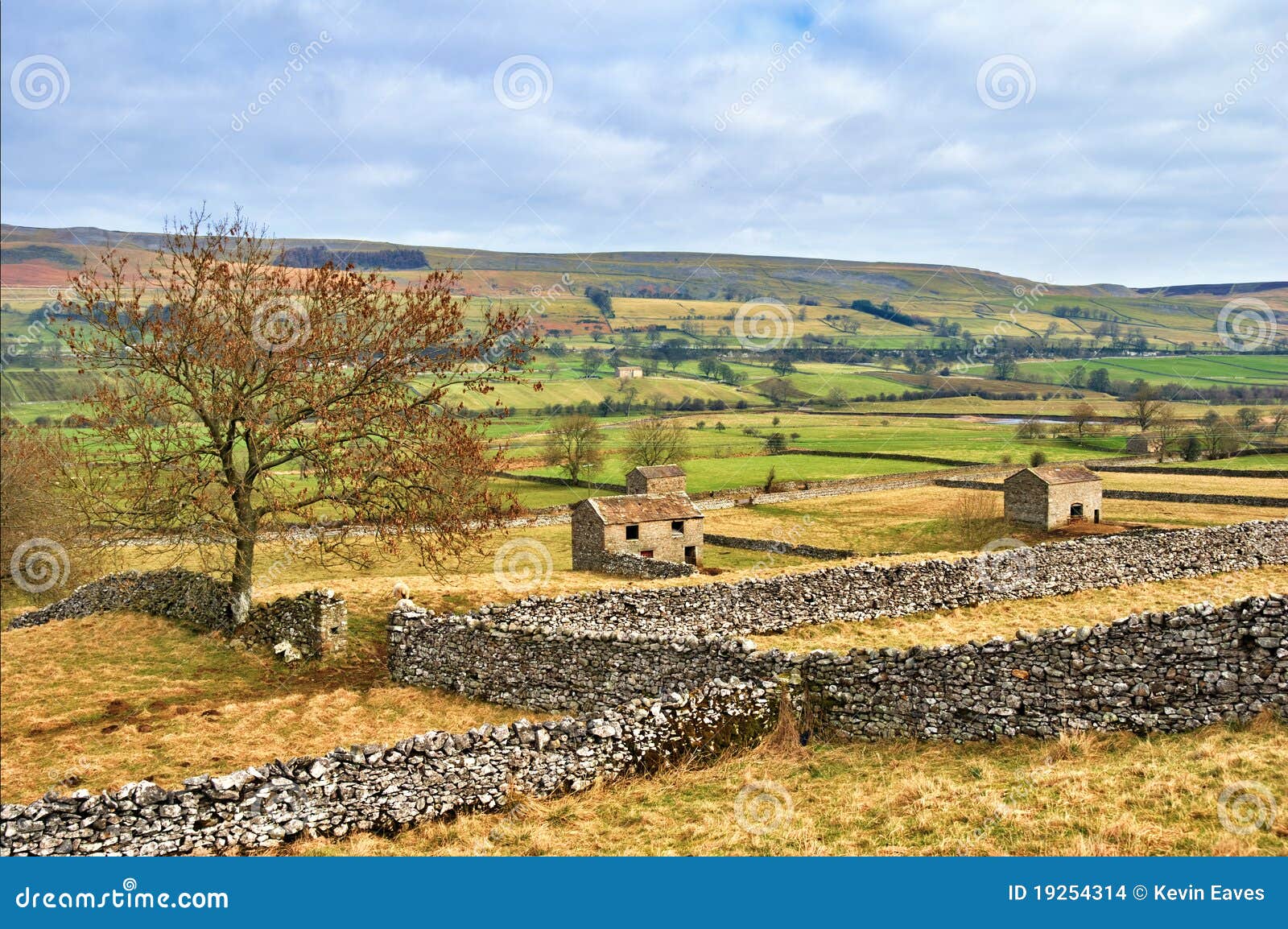 Yorkshire Dales National Park Stock Photo - Image of landscape, outside ...