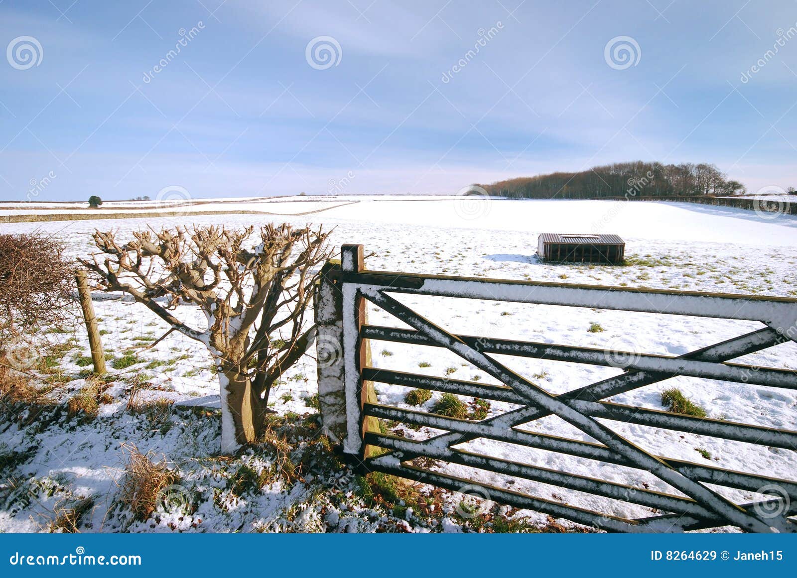 Yorkshire snow scene stock image. Image of field, meadow - 8264629